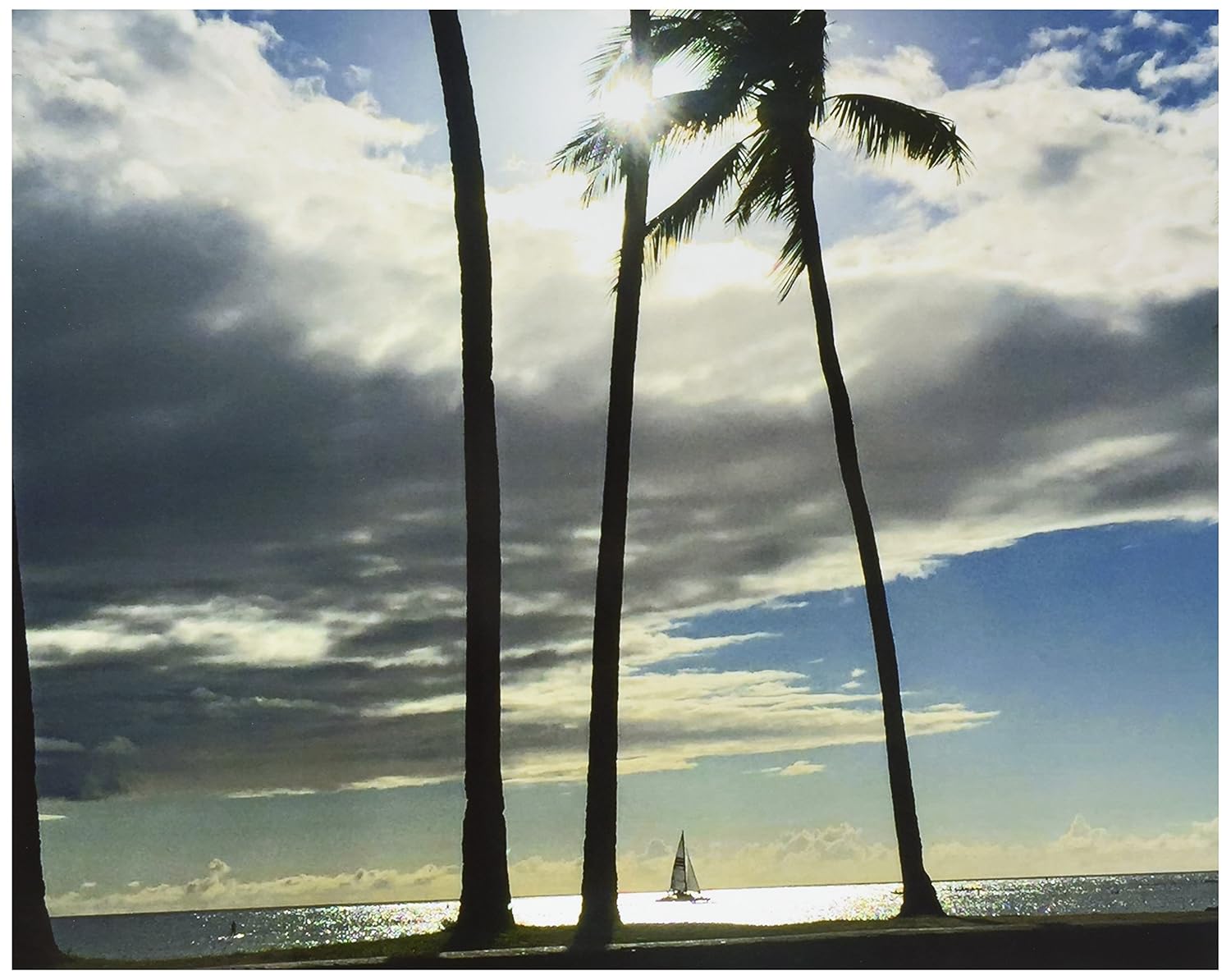CREATIONS BY CARTIER Hawaii Natural Serenity Photograph : Amazon.in ...