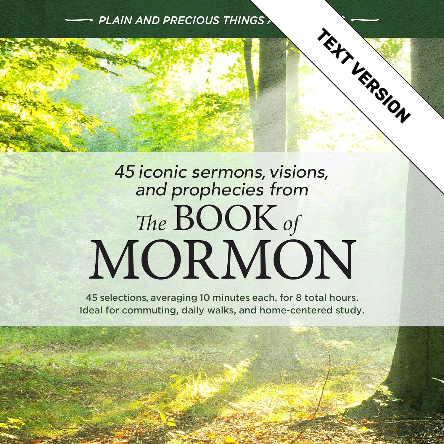 45 Iconic Sermons, Visions, and Prophecies from The Book of Mormon ...