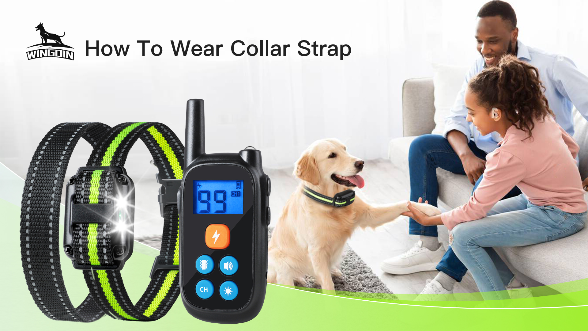 Watch How to attach collar to the receiver? on Amazon Live