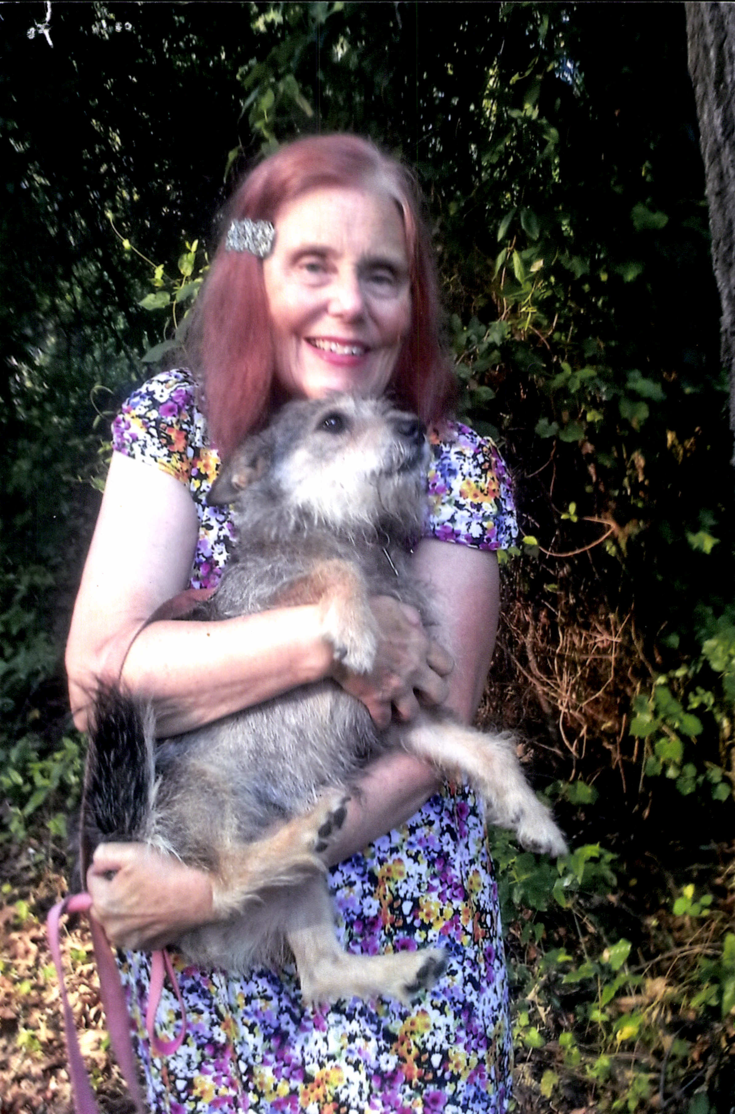 Amazon.com: Gail Logan: books, biography, latest update