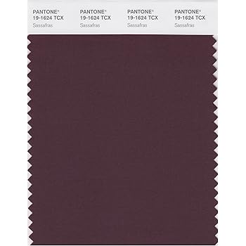 Pantone 19-2045 TCX Smart Color Swatch Card, Vivacious - House Paint ...
