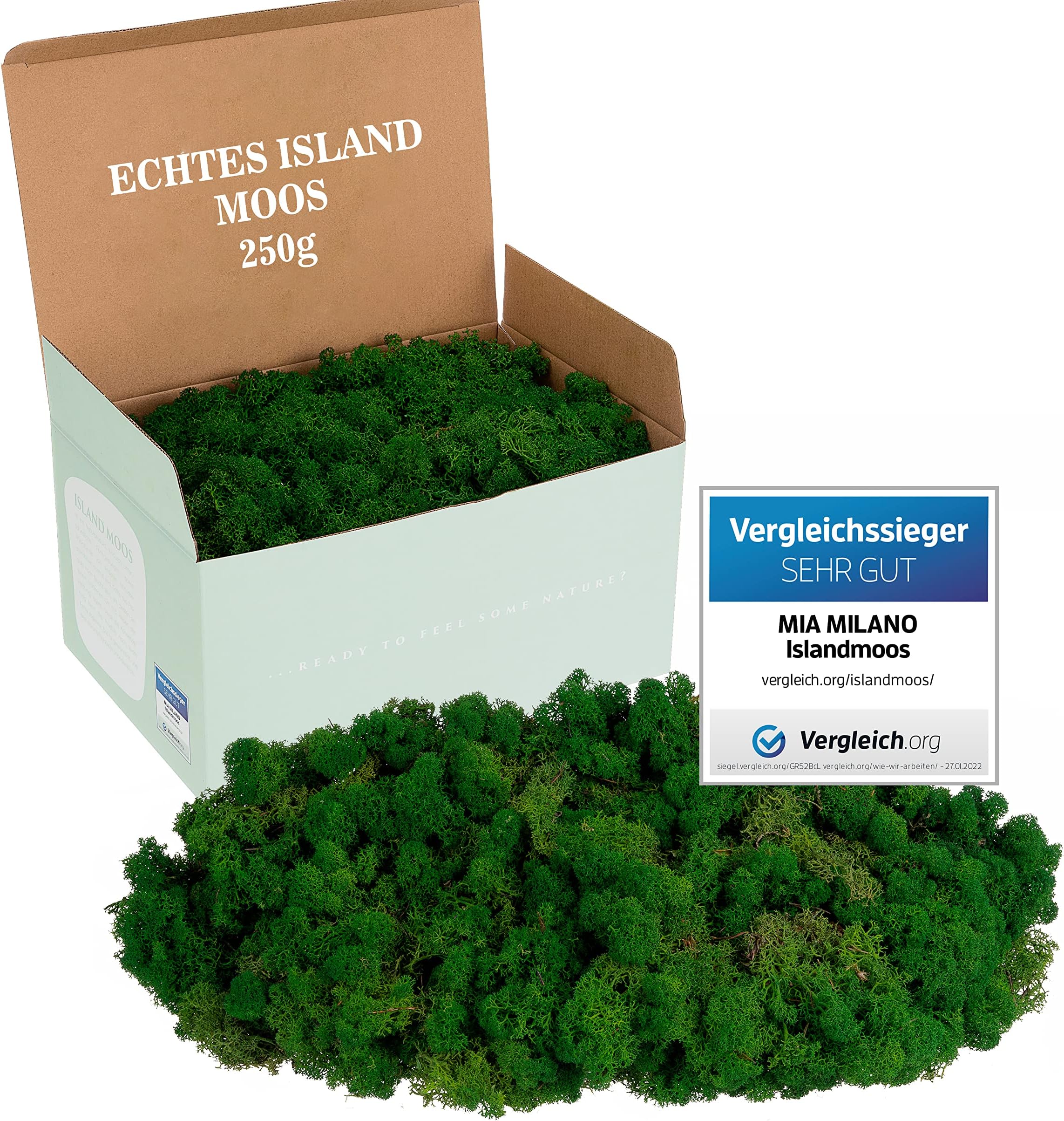 1 Kiste Echtes Moos - Plattenmoos - Natur Dekomoos zum basteln in ...