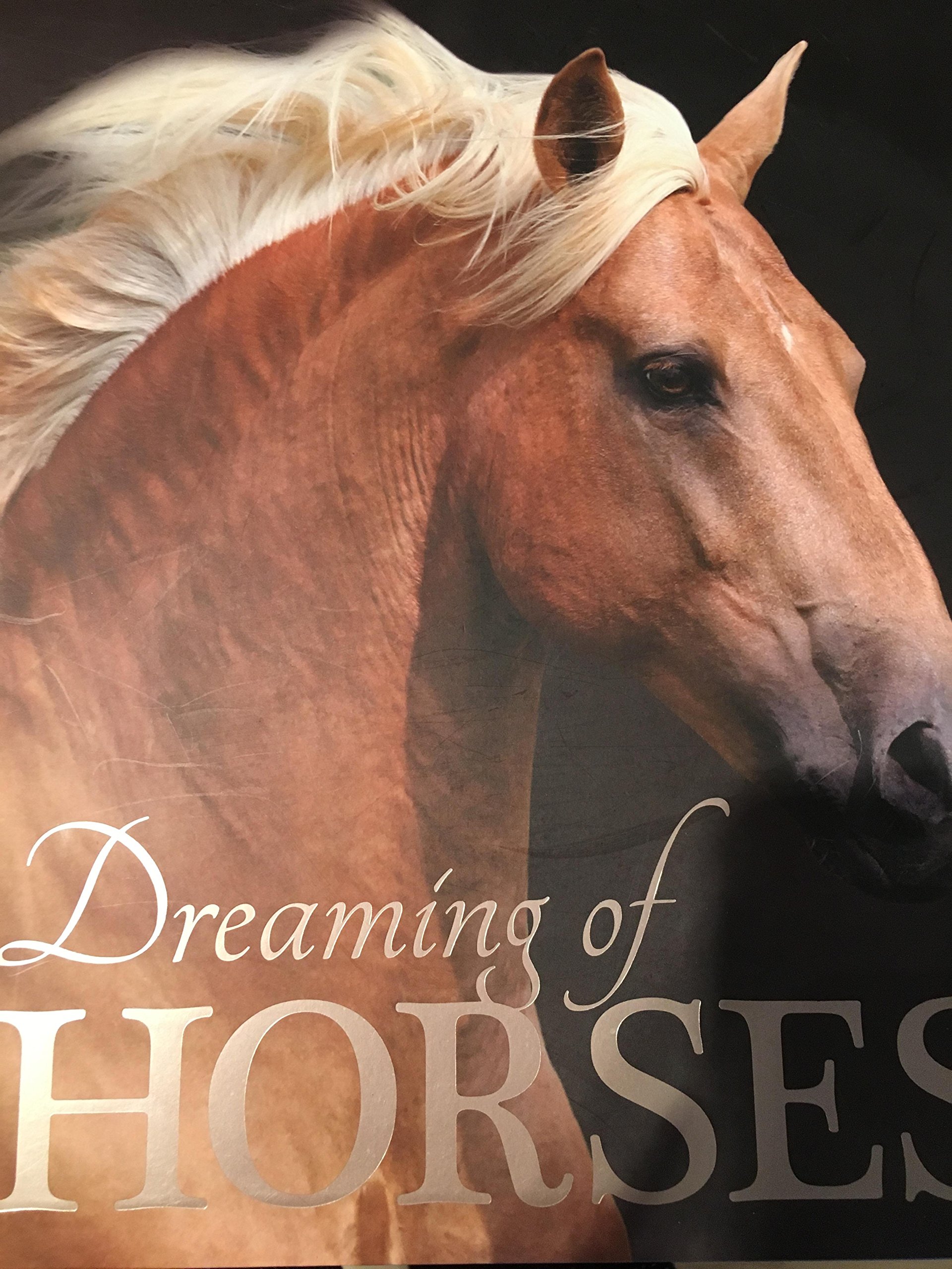 Dreaming of Horses: Nicole Jane Swinney: 9781609929688: Amazon.com: Books