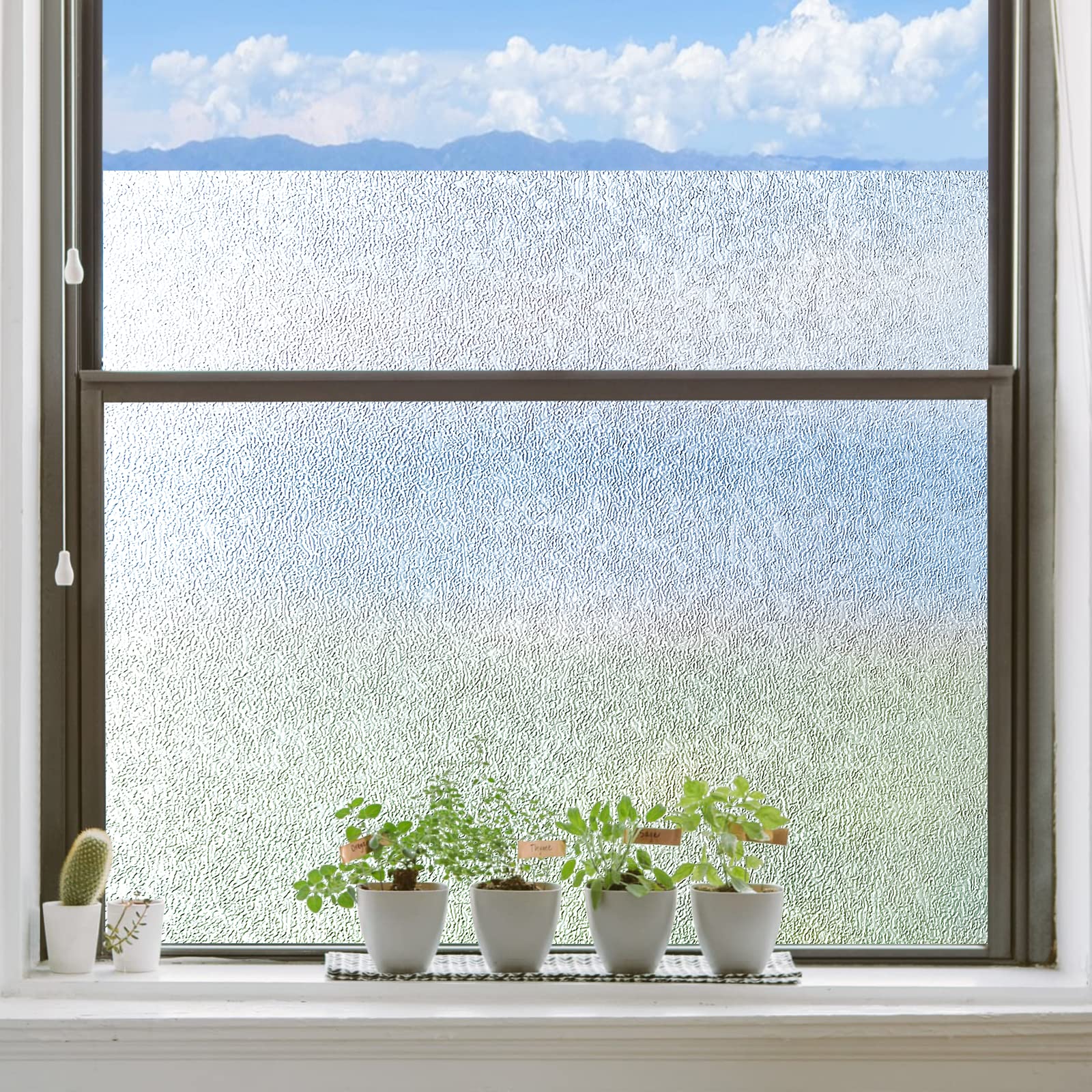 Coavas Frosted Window Privacy Film: Crystal Glass Film, No Glue Static ...