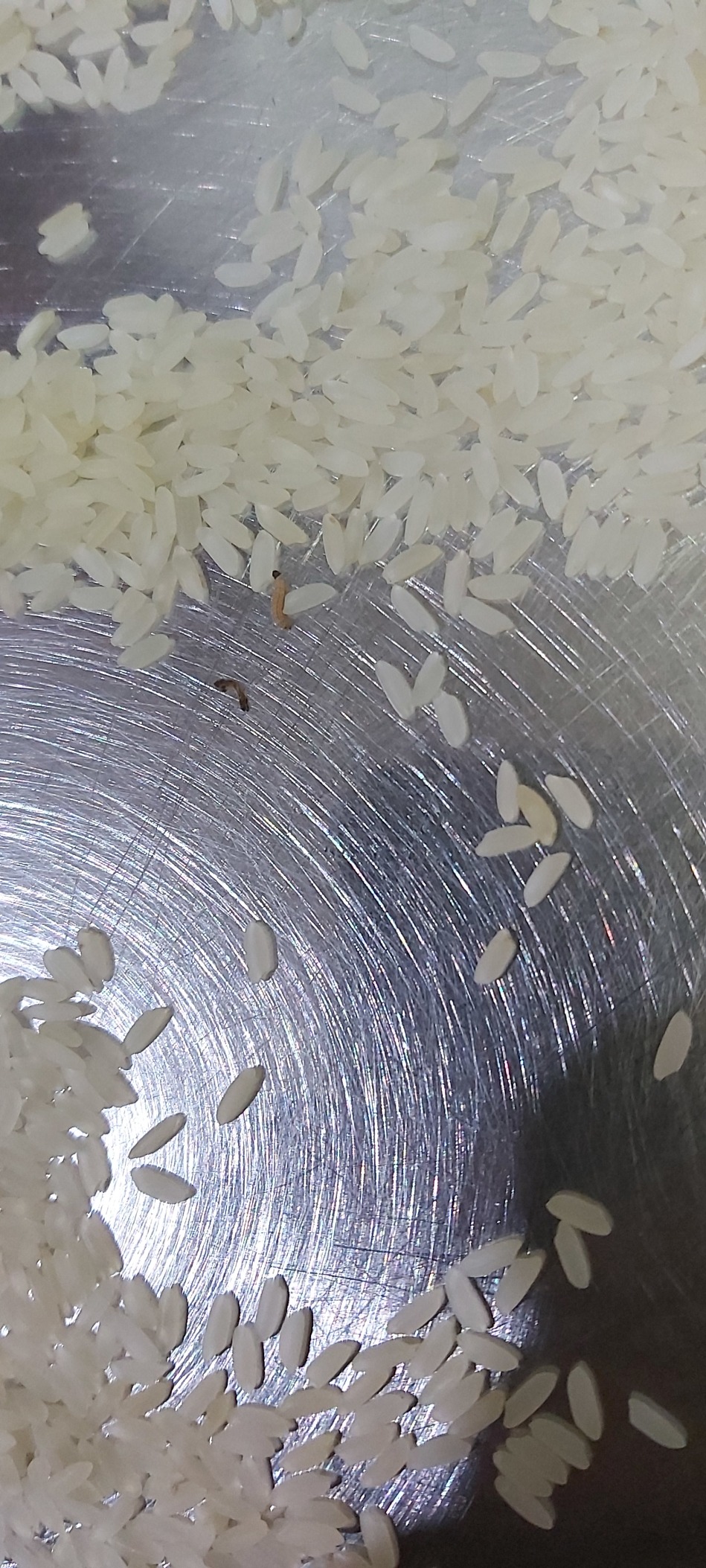 MADHURAM Ponni Rice 5 kg Pack : Amazon.in: Grocery & Gourmet Foods