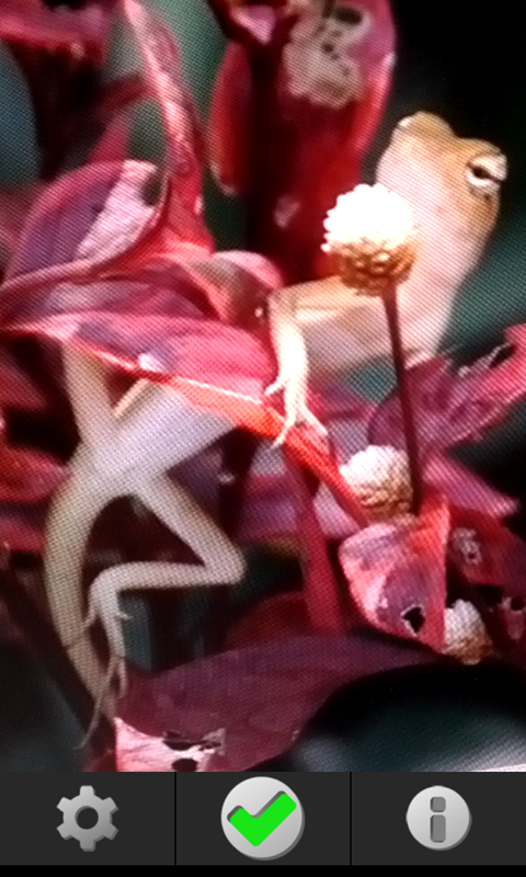 Pix Fix - App on Amazon Appstore