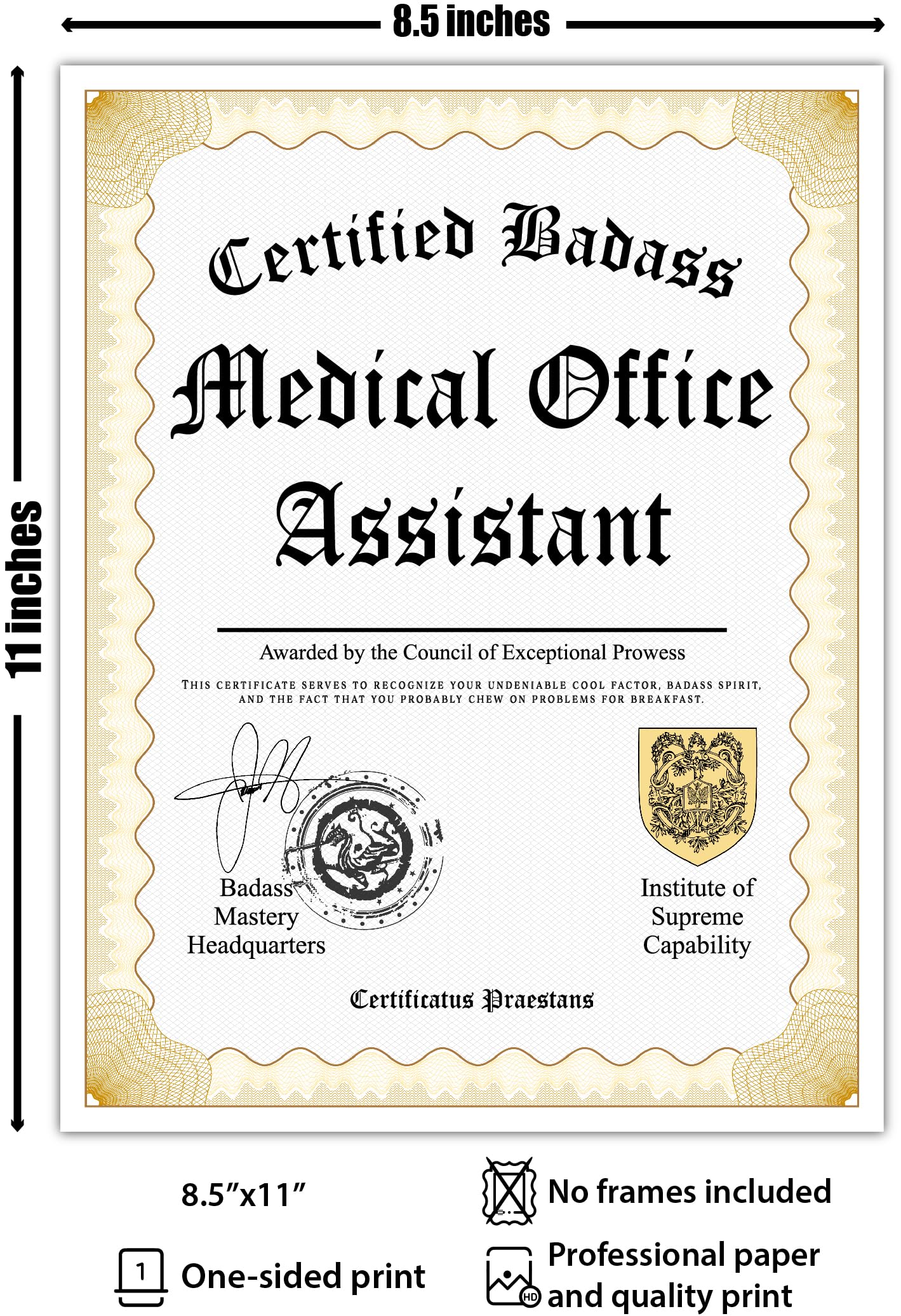 Mock Medical Assistant Diploma
