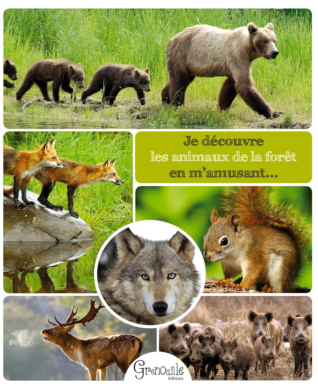 Amazon.com: JE DECOUVRE LES ANIMAUX DE LA FORET EN M'AMUSANT ...