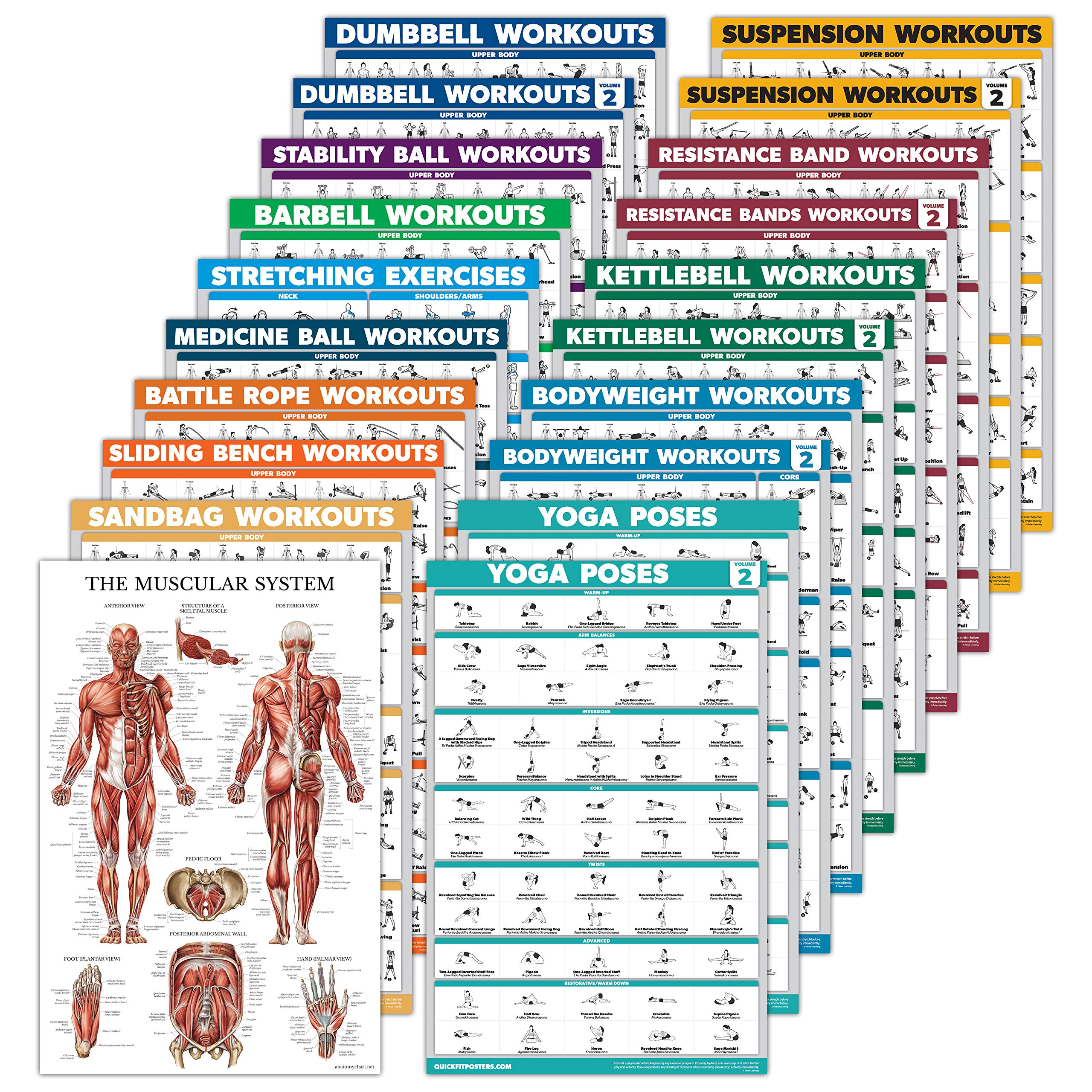 Amazon.com: 20 Pack - Exercise Workout Poster Set: Dumbbell, Suspension ...