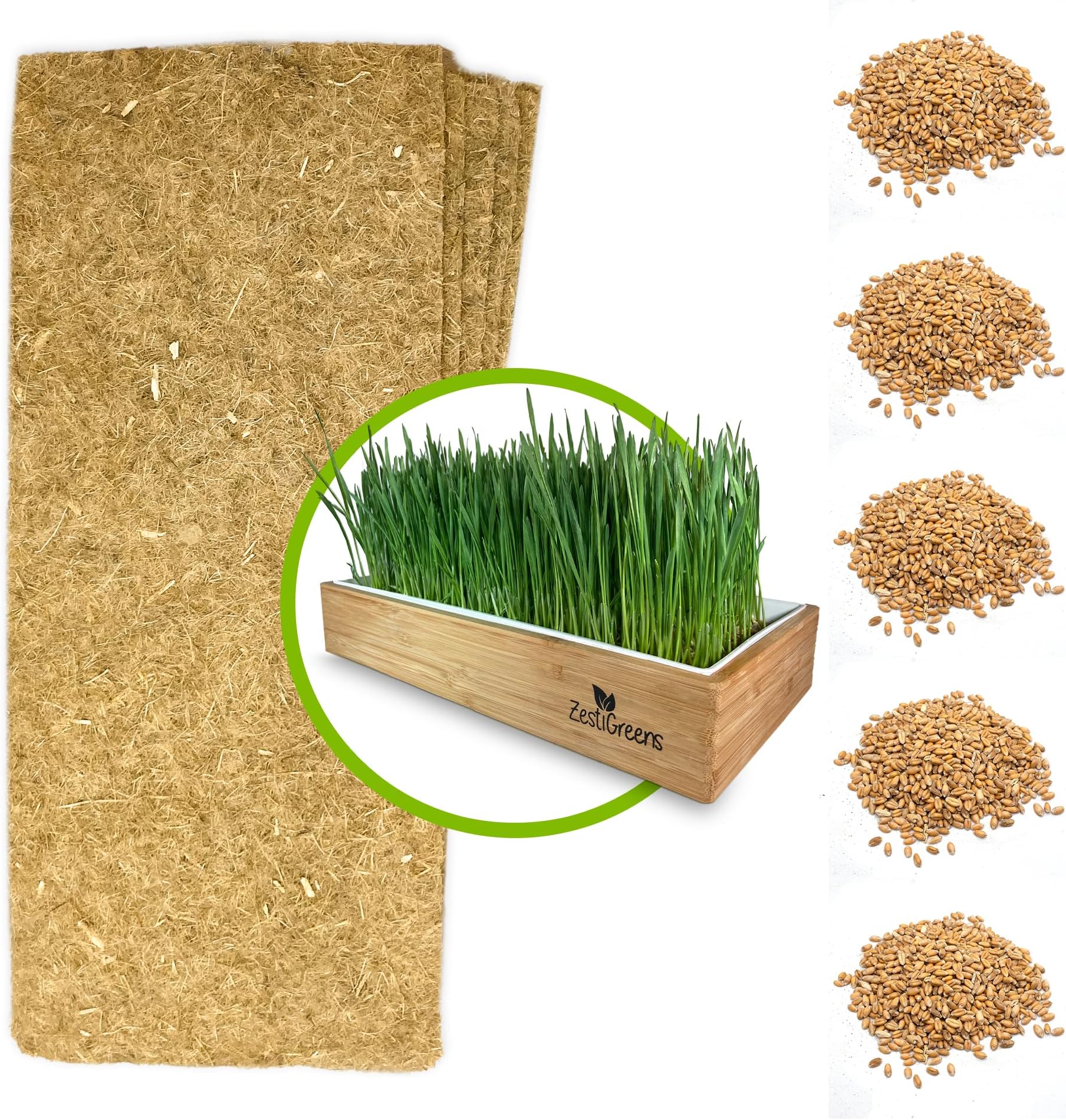 Amazon.com : Living Whole Foods Certified Organic Wheatgrass Growing ...