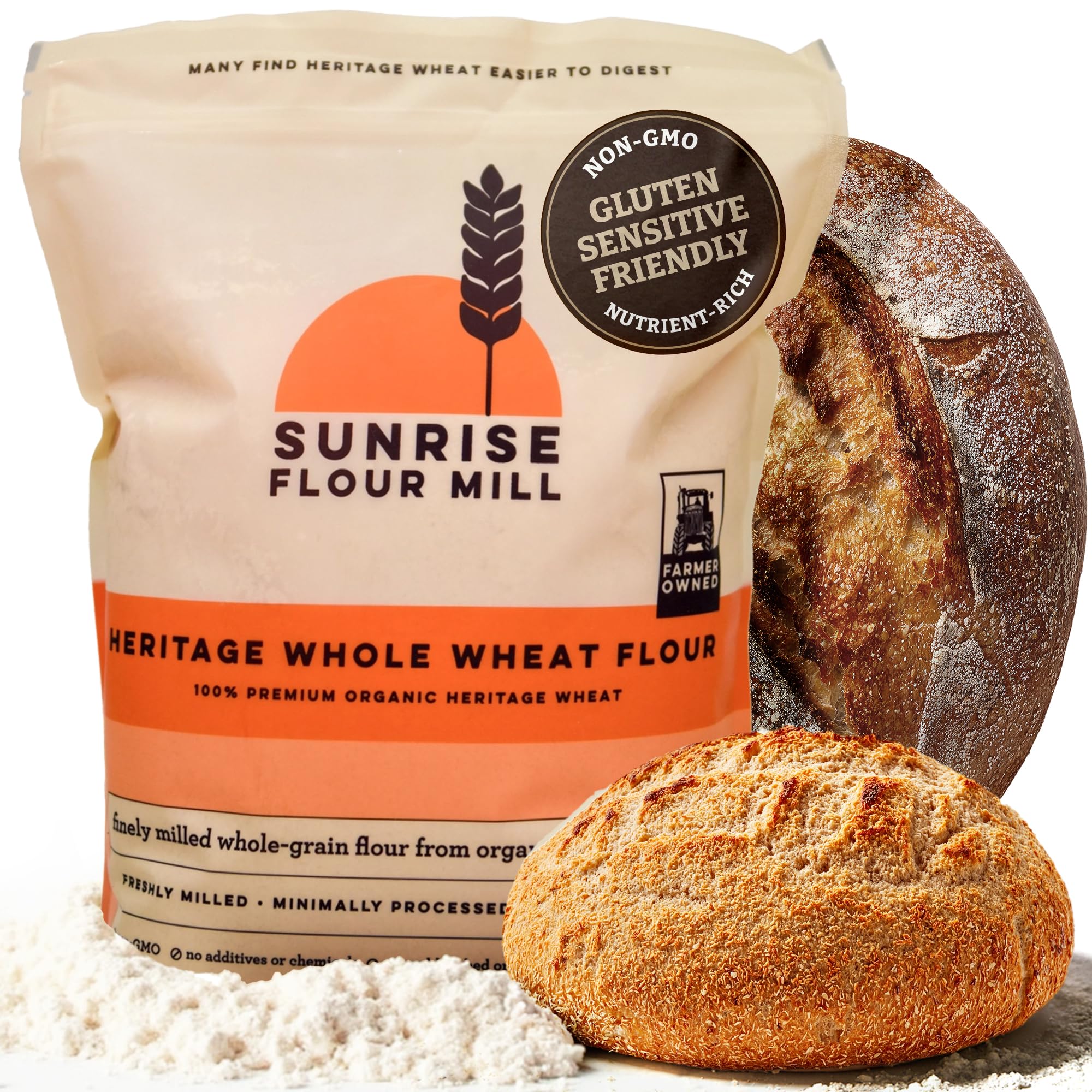 5 Best Bread for Digestion | Stop the Bloat: Gut-Happy Breads