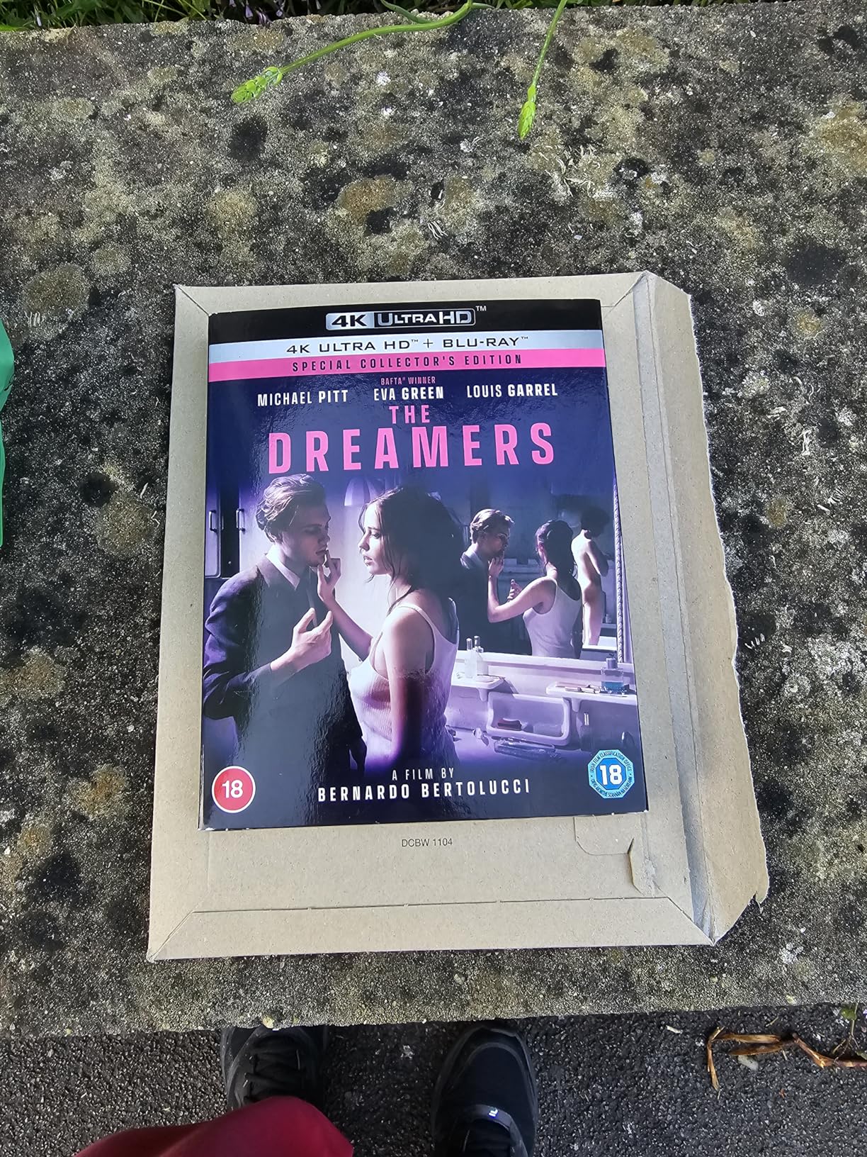 The Dreamers [VHS] : Michael Pitt, Eva Green, Louis Garrel, Anna ...