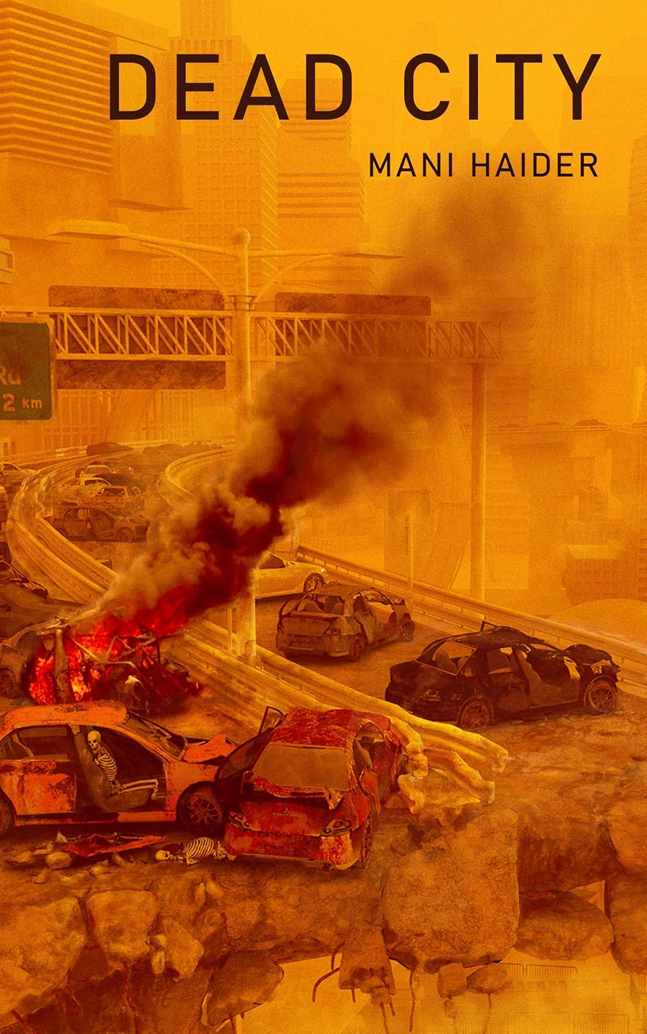 Amazon.com: Dead City: A Zombie Post-Apocalypse Horror Story eBook ...