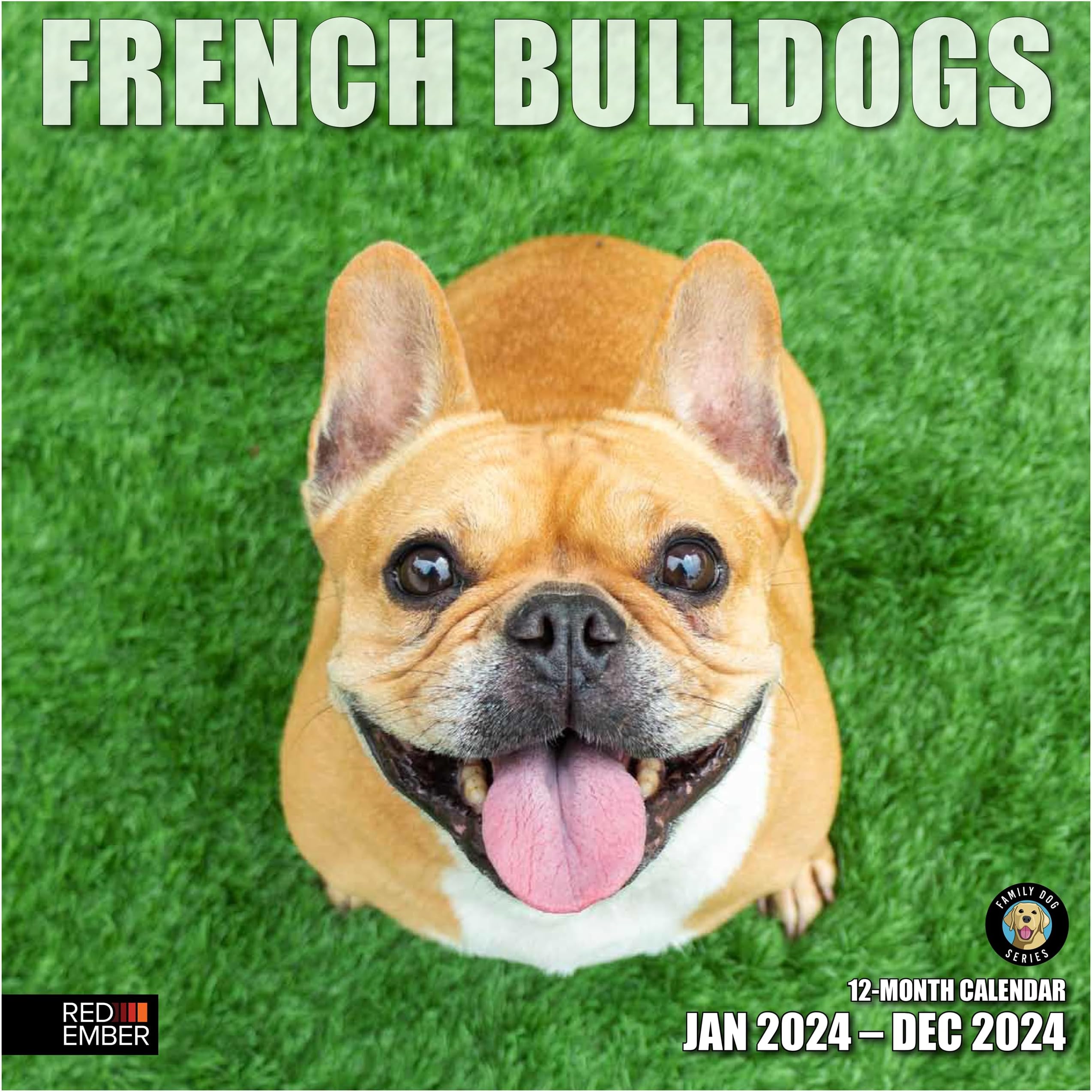 Amazon.com: RED EMBER French Bulldogs 2024 Hangable Monthly Wall ...