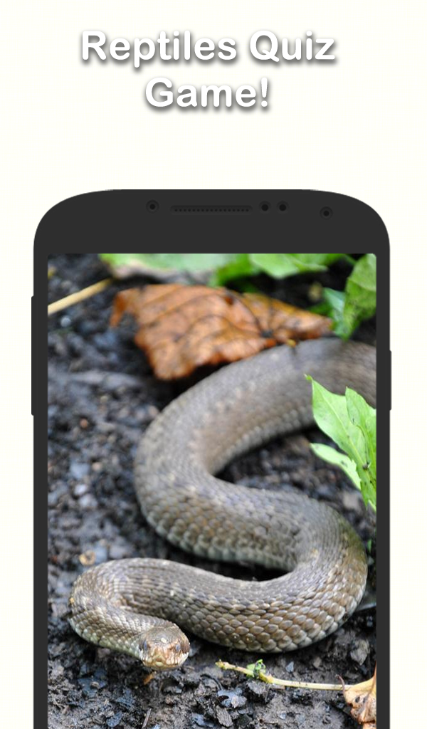 Reptiles Quiz Game - App on Amazon Appstore