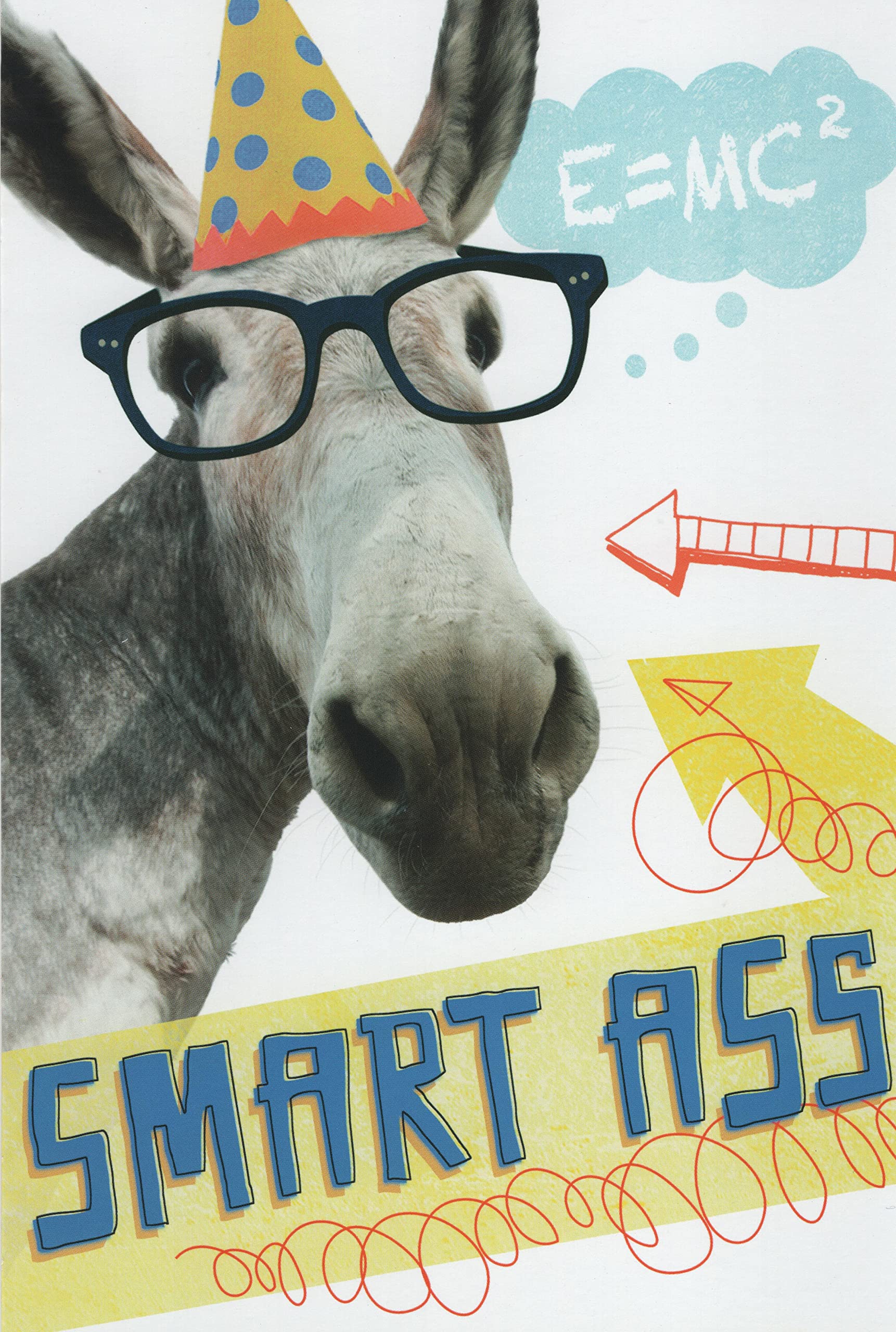 Amazon.com : Heartline Funny Donkey Smart Ass Happy Birthday Card - Happy Birthday From One ...