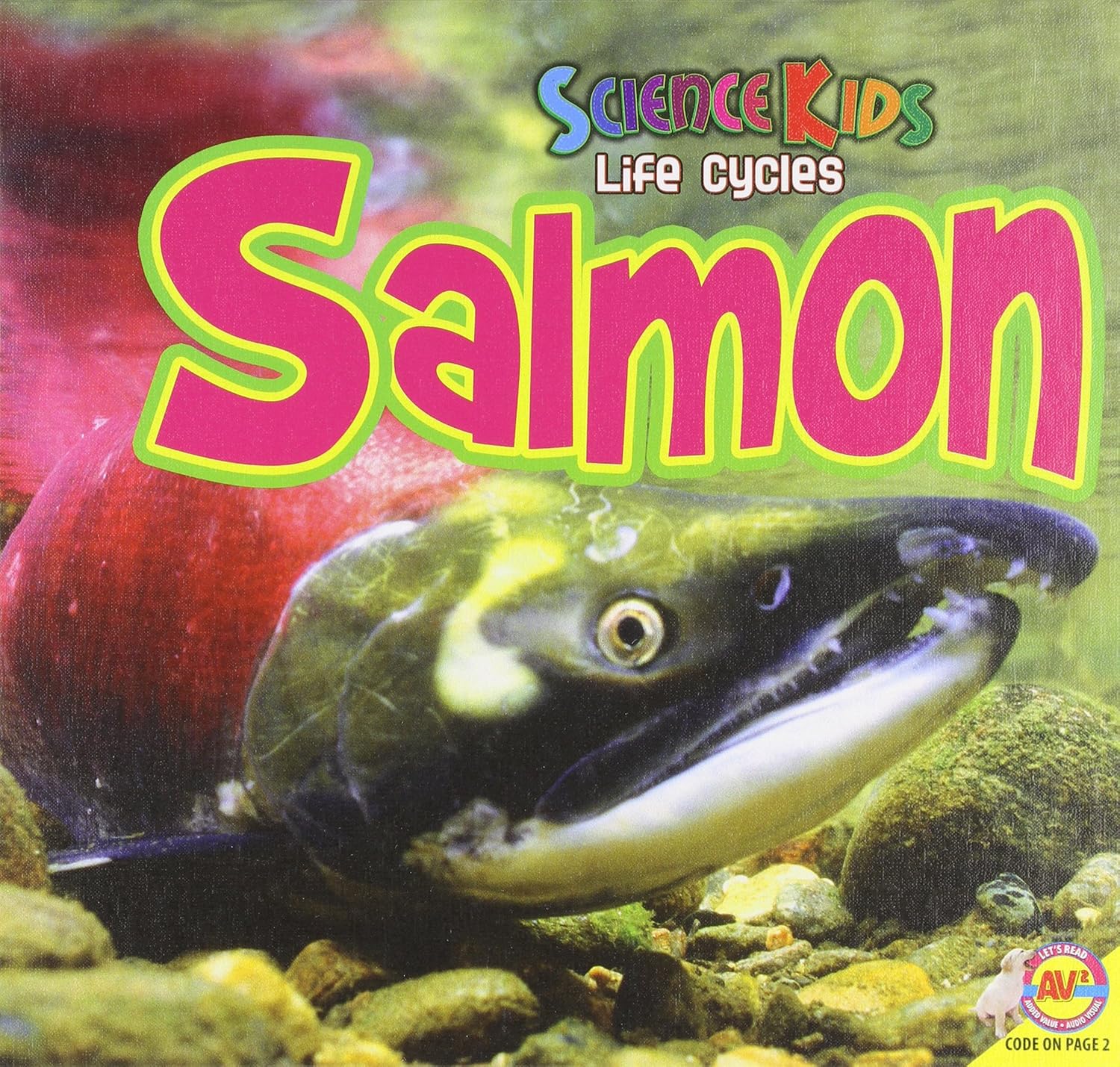 Salmon (Science Kids: Life Cycles): Daly, Ruth: 9781489613349: Amazon ...
