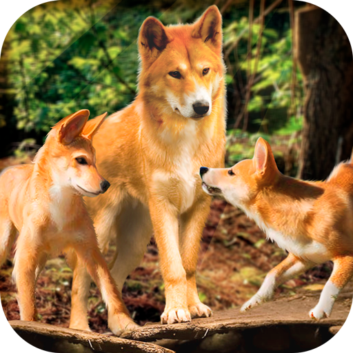 Dingo Survival Simulator - App on Amazon Appstore