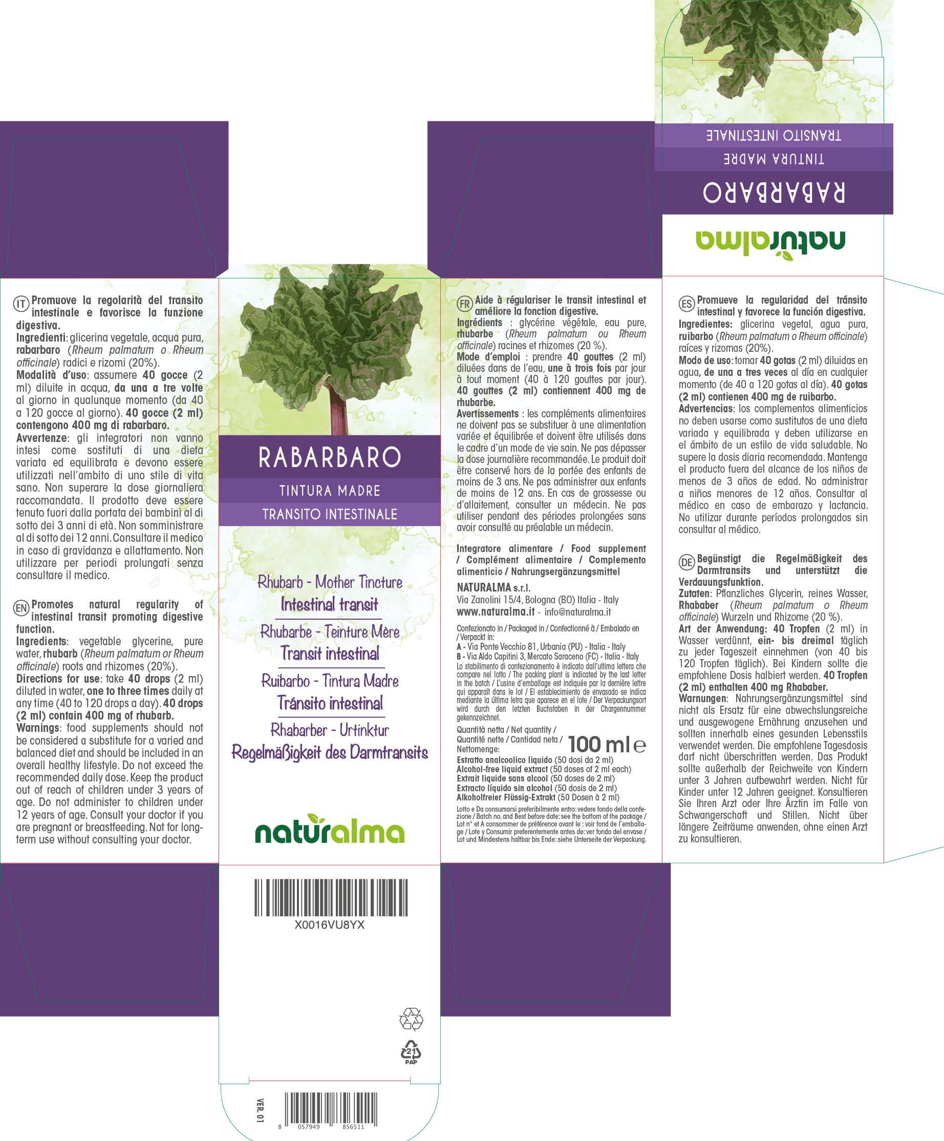 Buy Rhubarb (Rheum palmatum or Rheum officinale) Roots and rhizomes ...