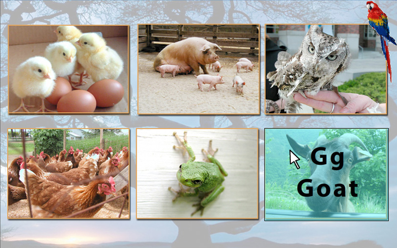 Identifying Sounds - App on the Amazon Appstore