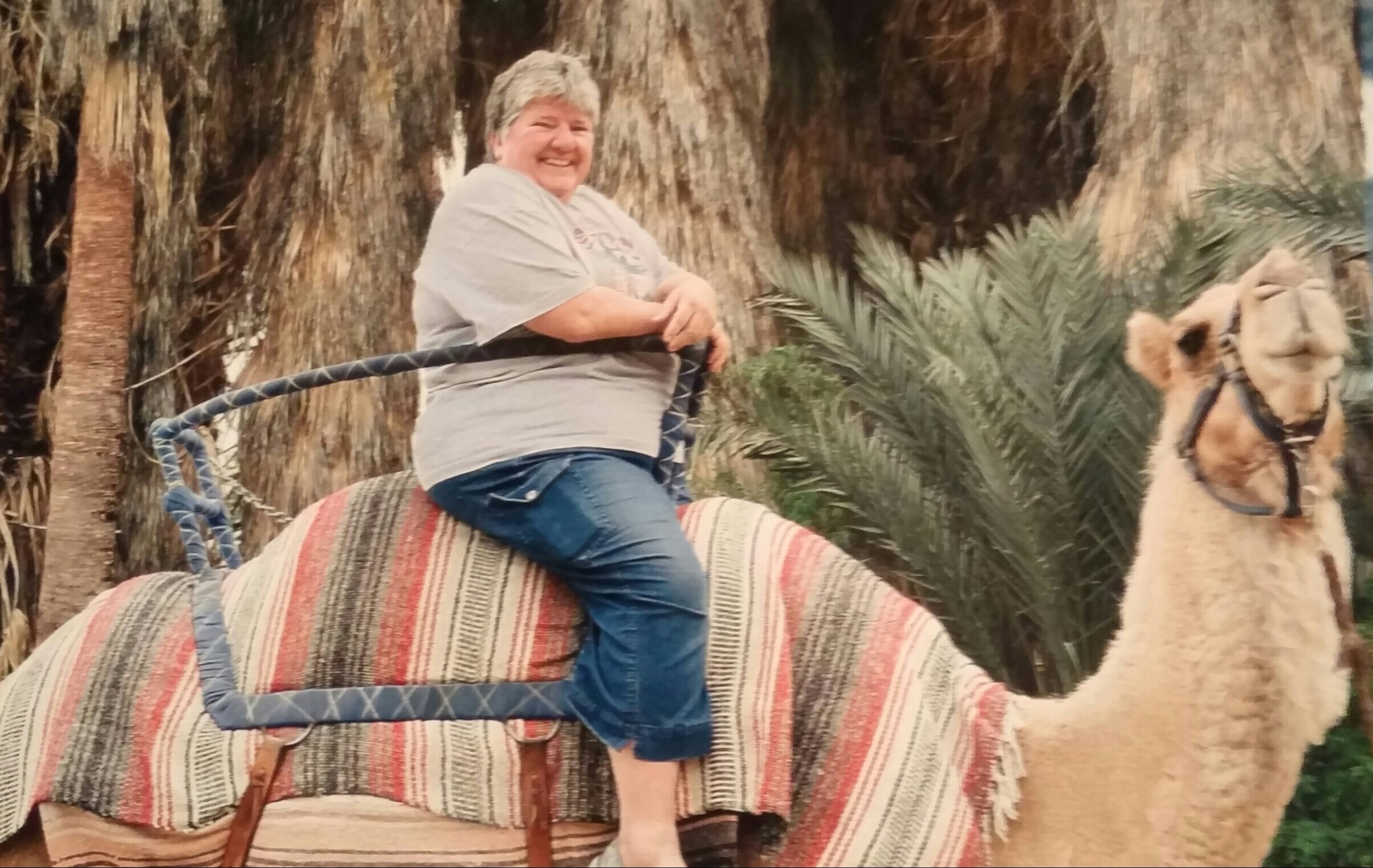 Amazon.com: Debbie Veldhuis: books, biography, latest update