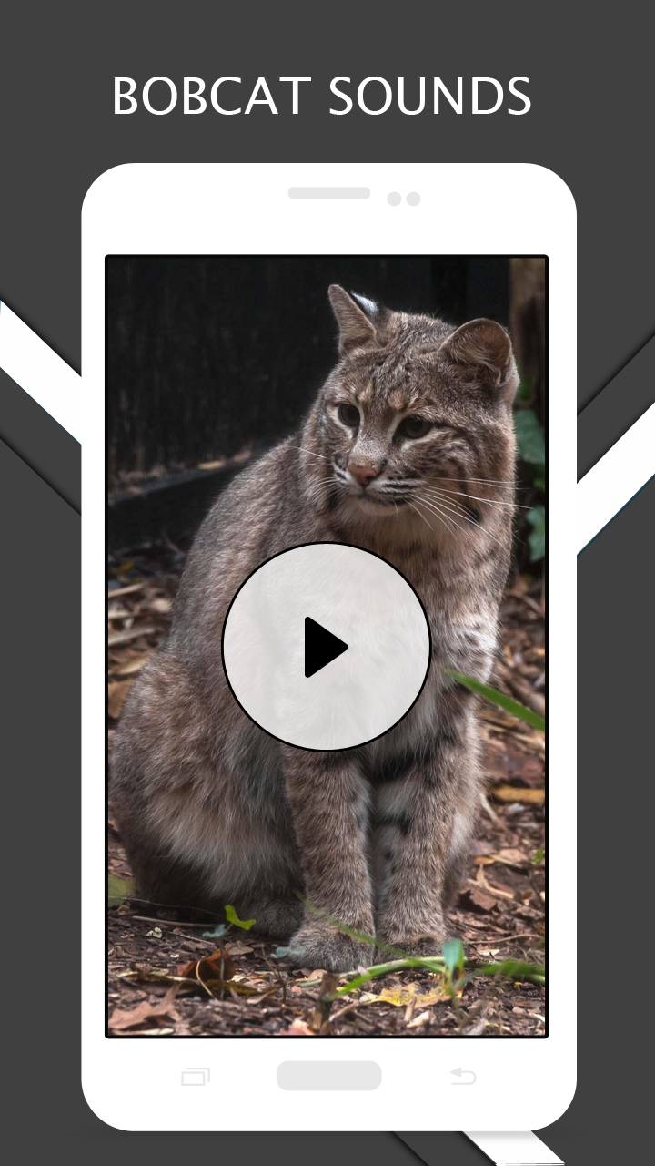 Bobcat Sounds And Ringtones:Amazon.com:Appstore for Android