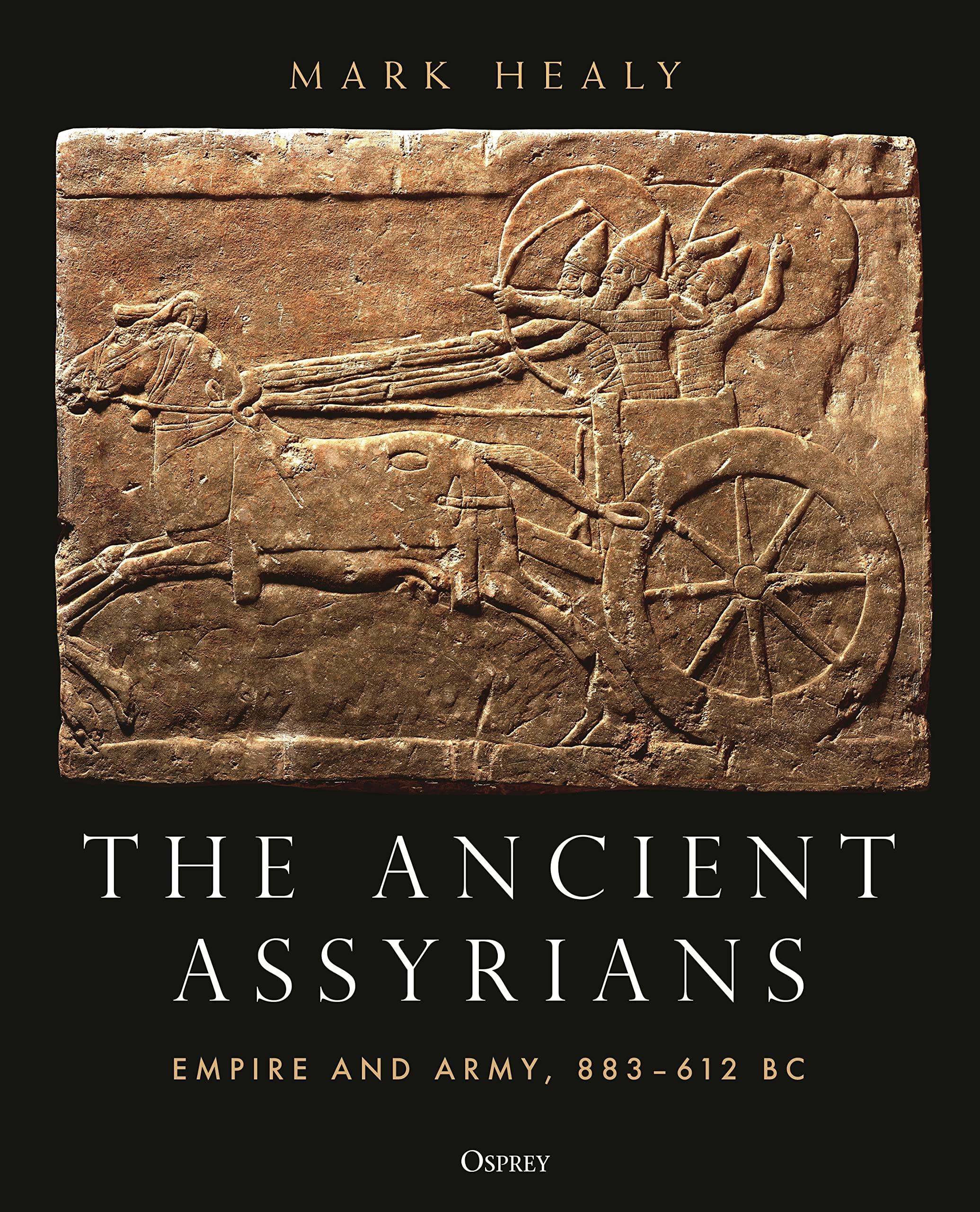 The Ancient Assyrians: Empire and Army, 883–612 BC : Mark Healy: Amazon ...