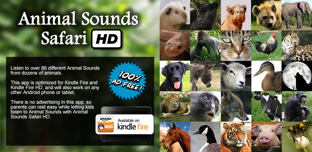 Animal Sounds Safari HD:Amazon.de:Appstore for Android