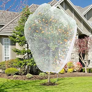 Amazon.com : Large Fruit Tree Netting with Drawstring and Zipper, 10 * 10FT Garden Netting for ...