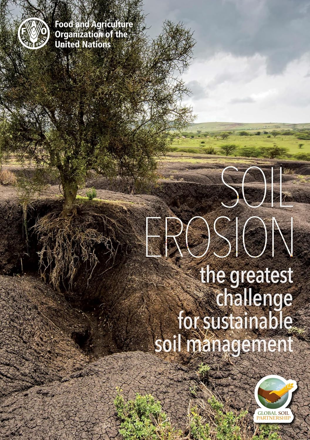 Amazon.com: Soil Erosion: The Greatest Challenge for Sustainable Soil ...