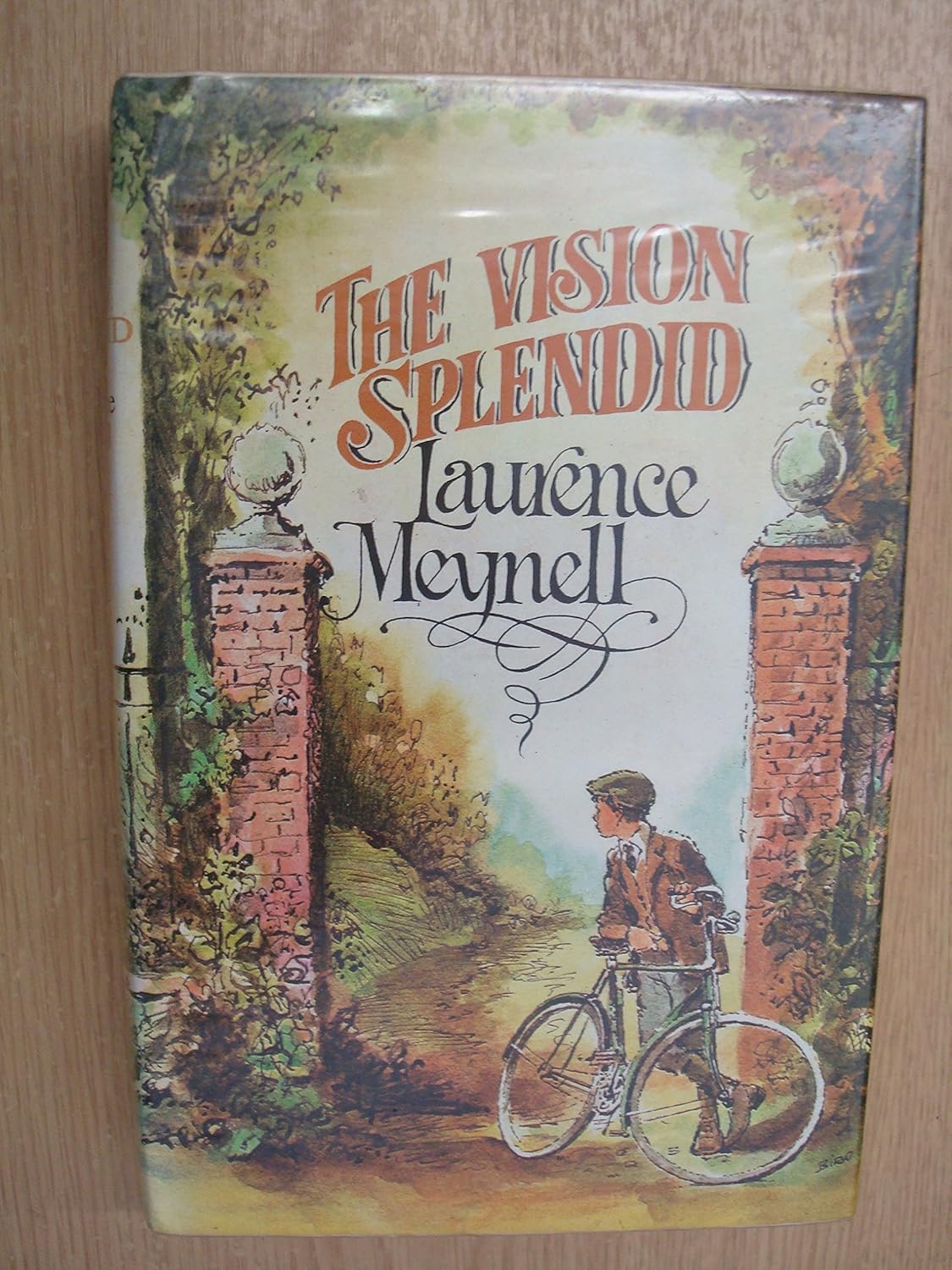 The vision splendid: Meynell, Laurence: 9780709155355: Amazon.com: Books