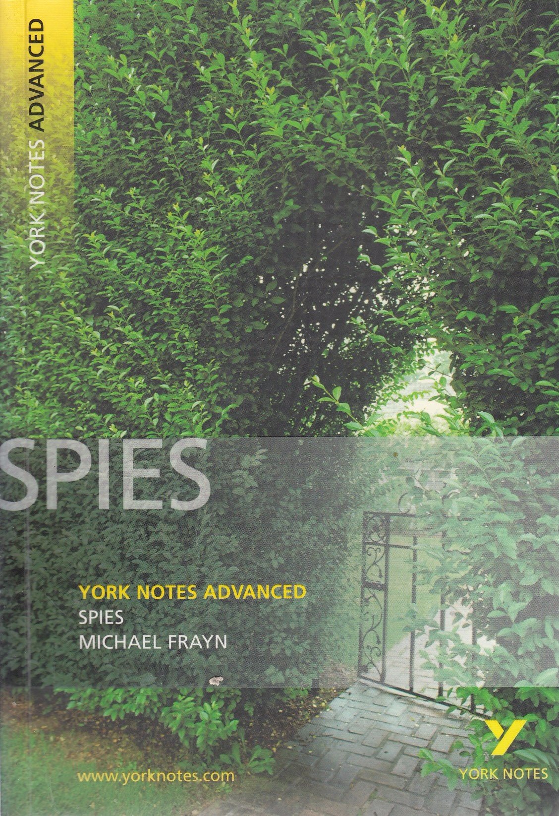 Spies: York Notes Advanced everything you need to study and prepare for ...