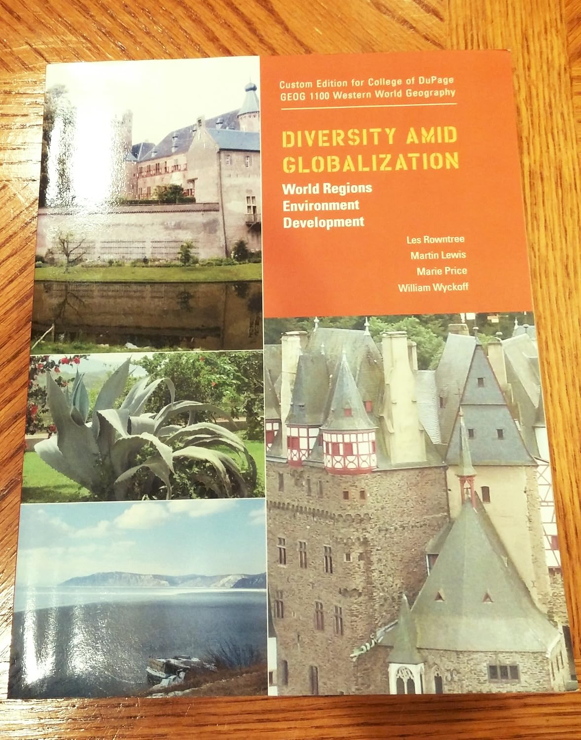 Diversity Amid Globalization. Custom Edition for Collage of DuPage ...