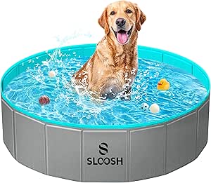 Amazon.com: Foldable Dog Kiddie Pool - Portable Hard Plastic Doggie Swimming Pool : Pet Supplies