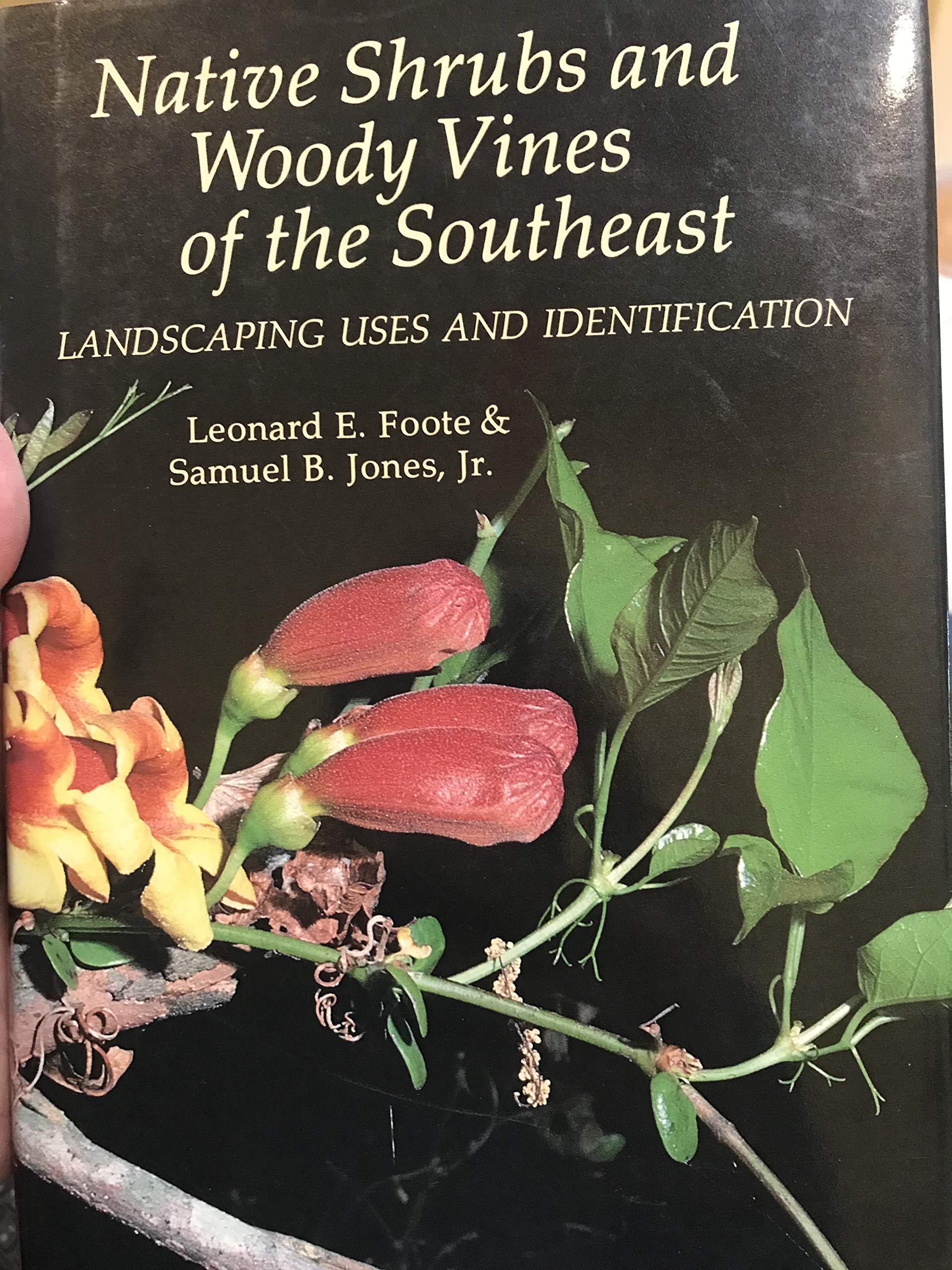 Buy Native Shrubs and Woody Vines of the Southeast: Landscaping Uses ...