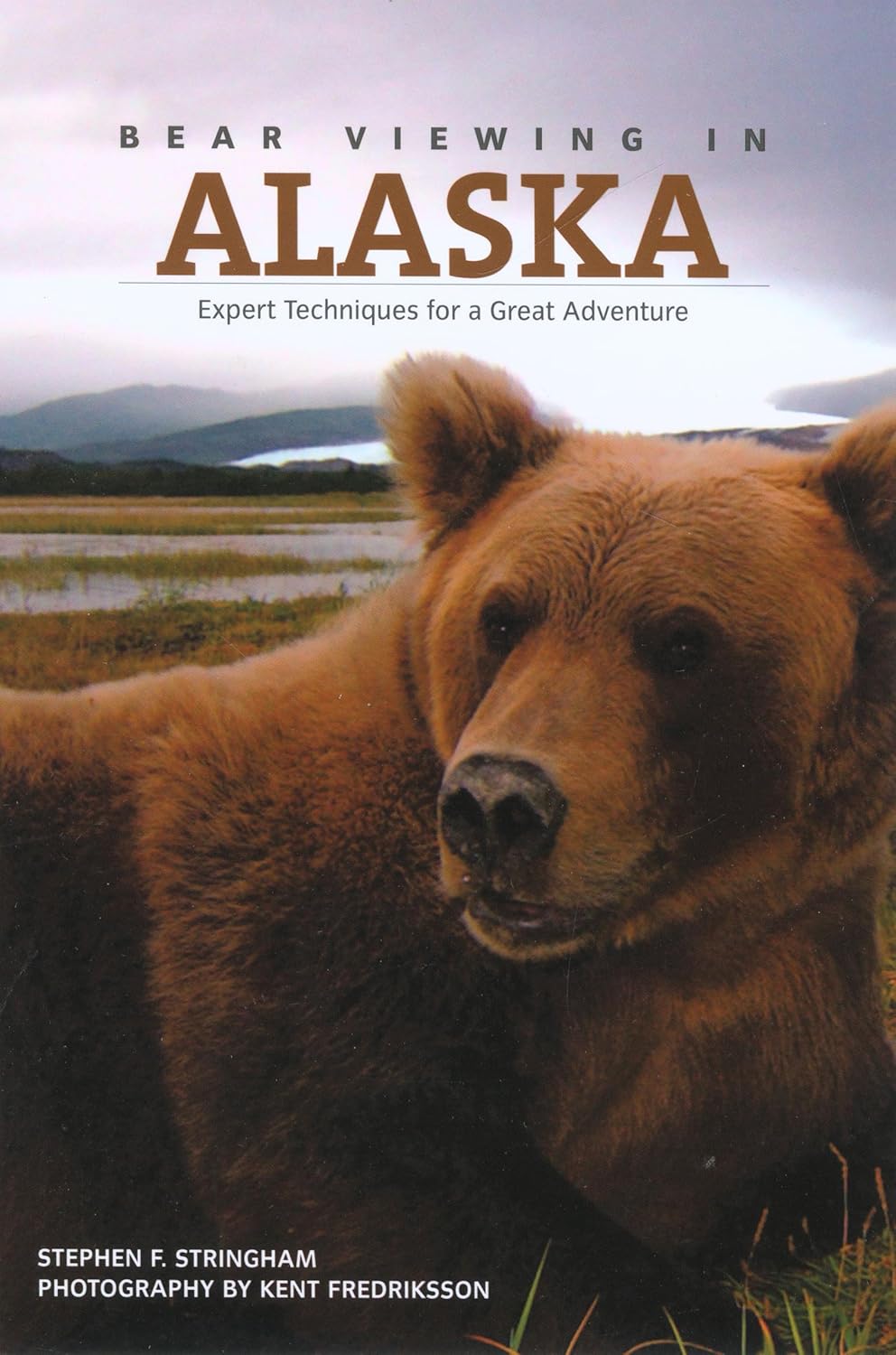 Bear Viewing in Alaska: Expert Techniques For A Great Adventure ...