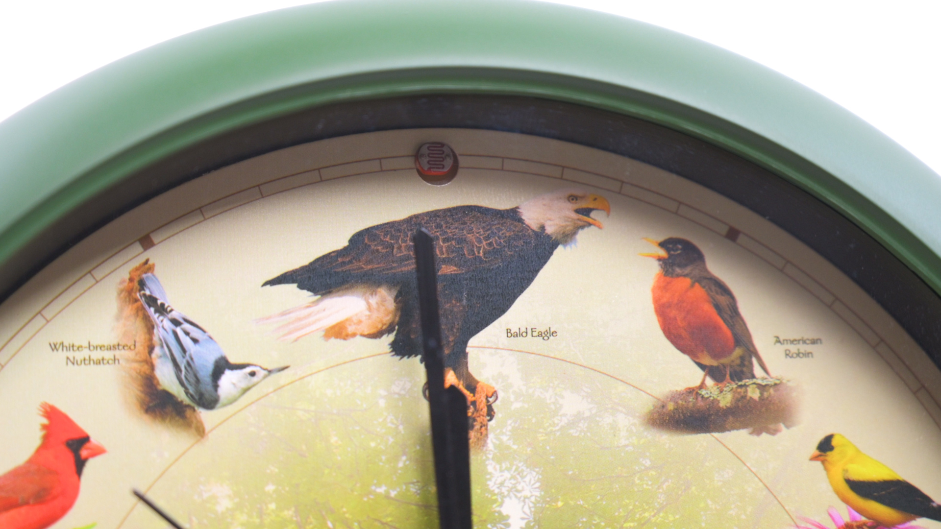 Watch 20th Anniversary Singing Bird Clock Sounds ﹙13 and 8 inch﹚ on ...