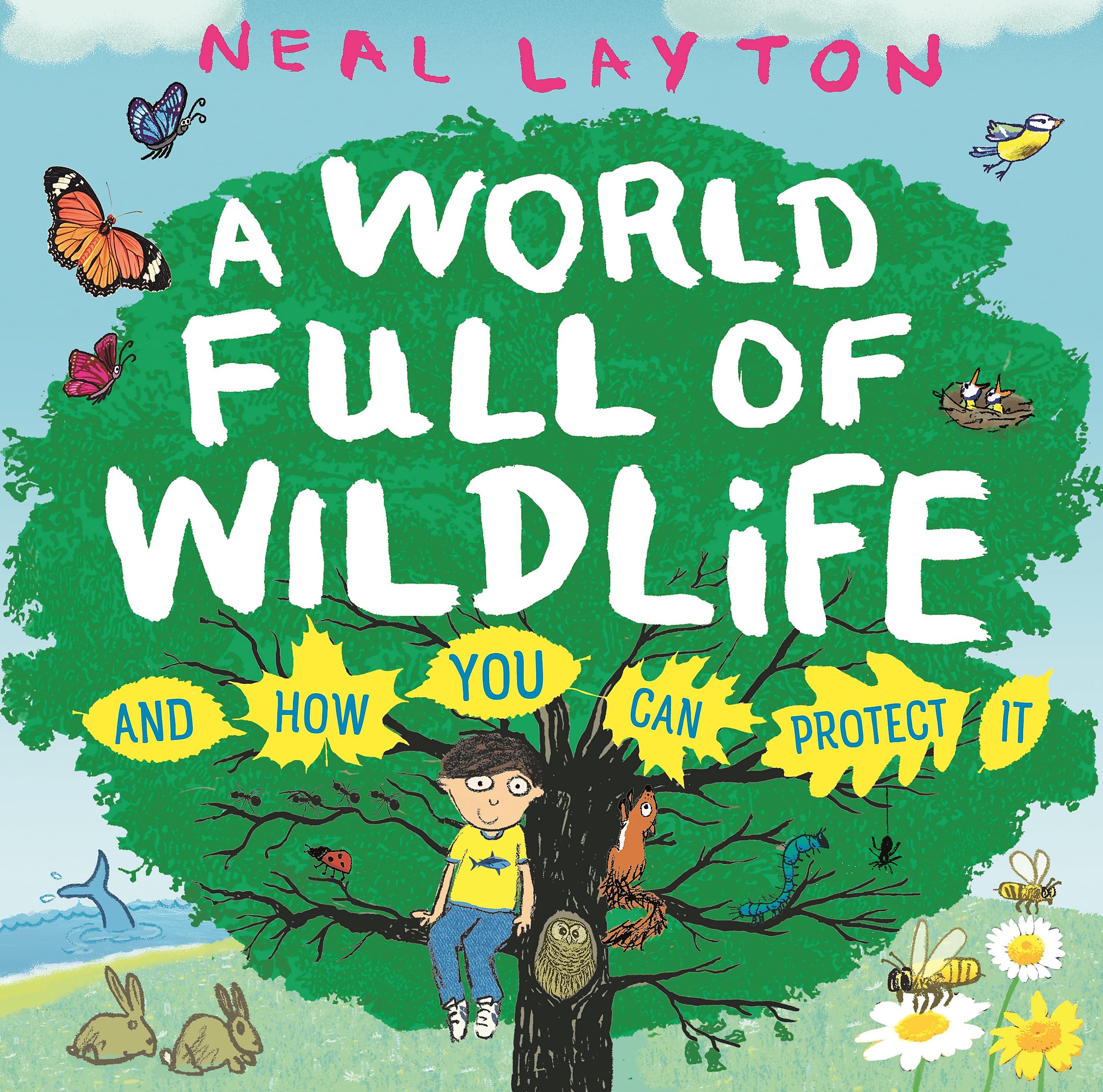 Amazon.com: A World Full of Wildlife: and how you can protect it ...