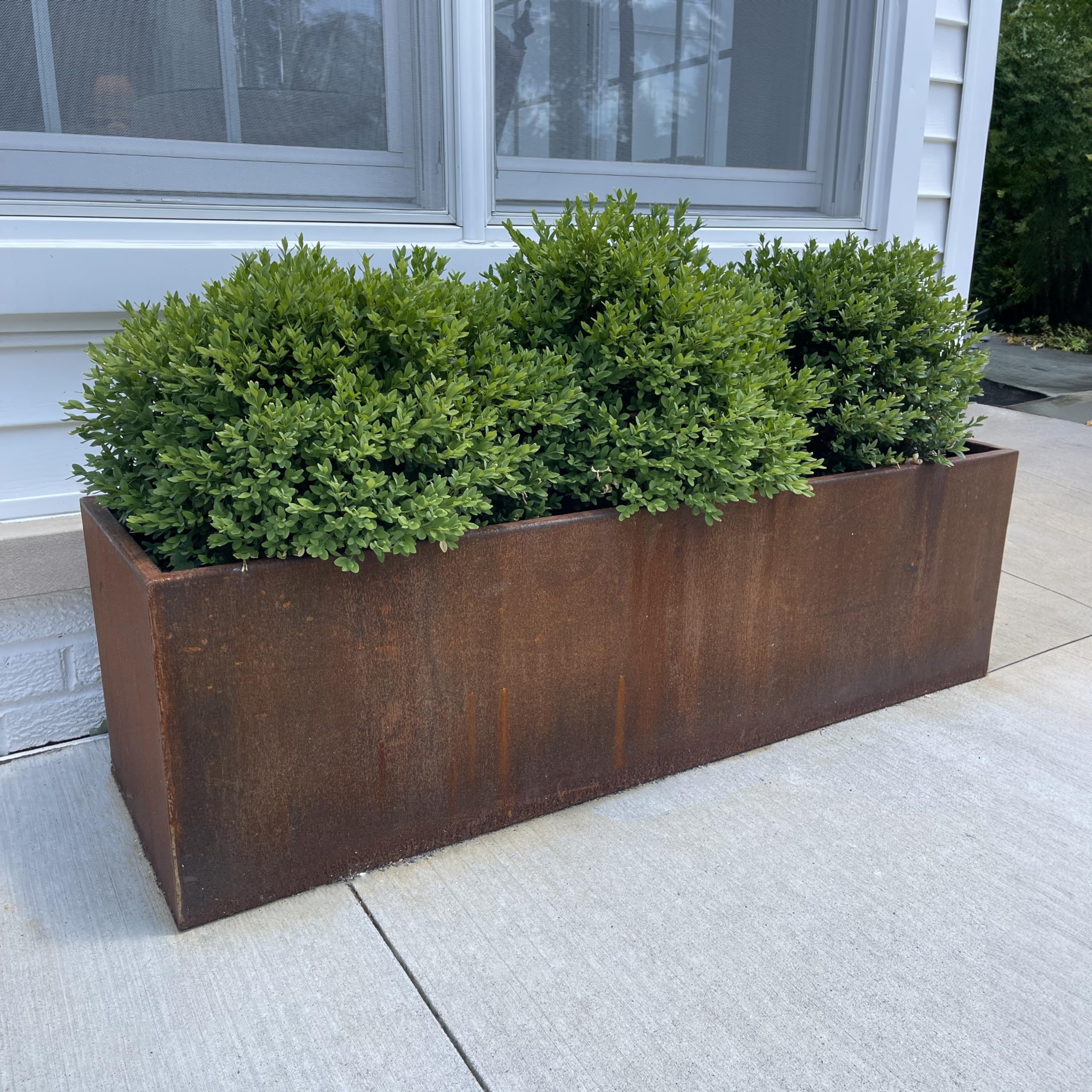 Deep Bamboo 6 Planter Boxes Bamboo Pots | Pots & Planters | Haxnicks