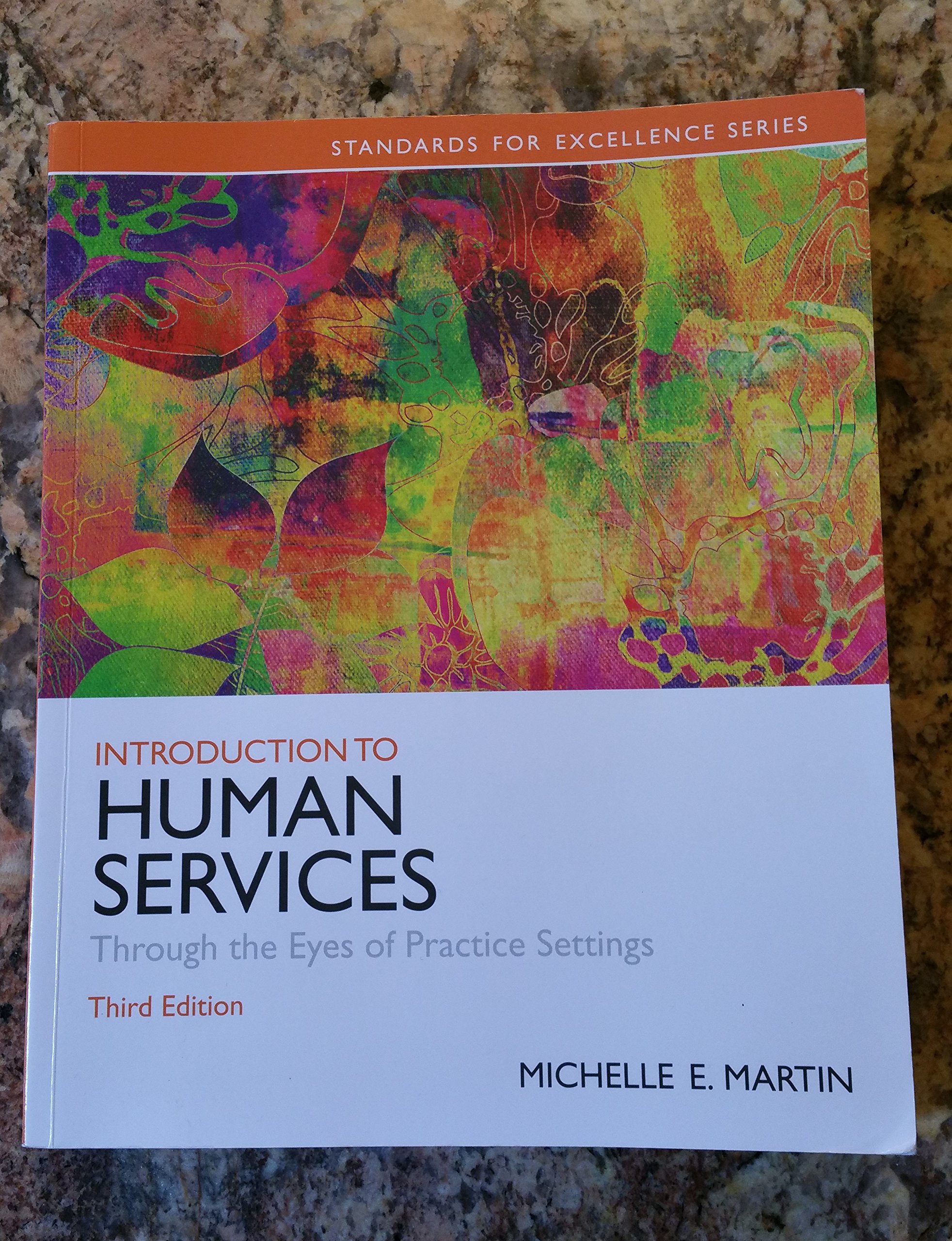 Introduction to Human Services: Through the Eyes of Practice Settings ...
