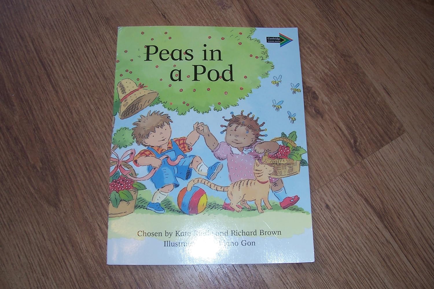 Amazon.com: Peas in a Pod South African edition (Cambridge Reading ...