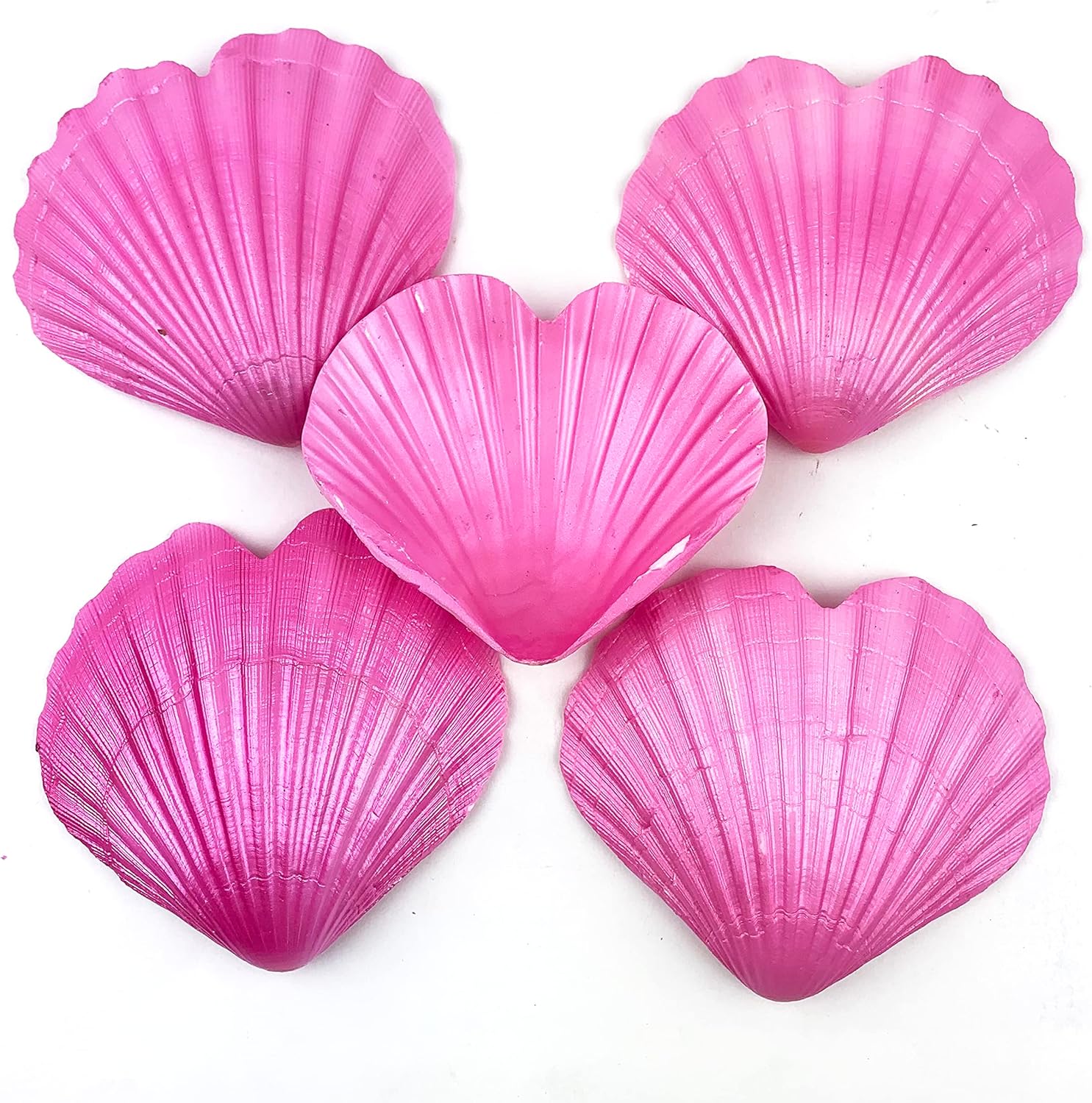 Amazon.com: Heyiwell 5PC Pink Heart Scallop Shells for Beach Theme ...