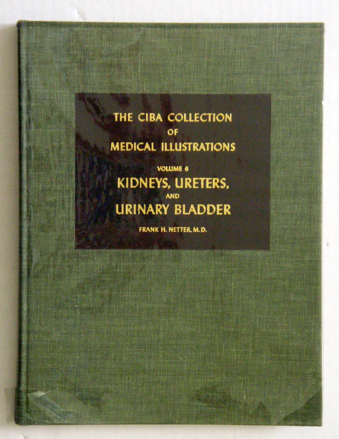 Amazon.com: The Ciba Collection of Medical Illustrations: Vol. 6 ...