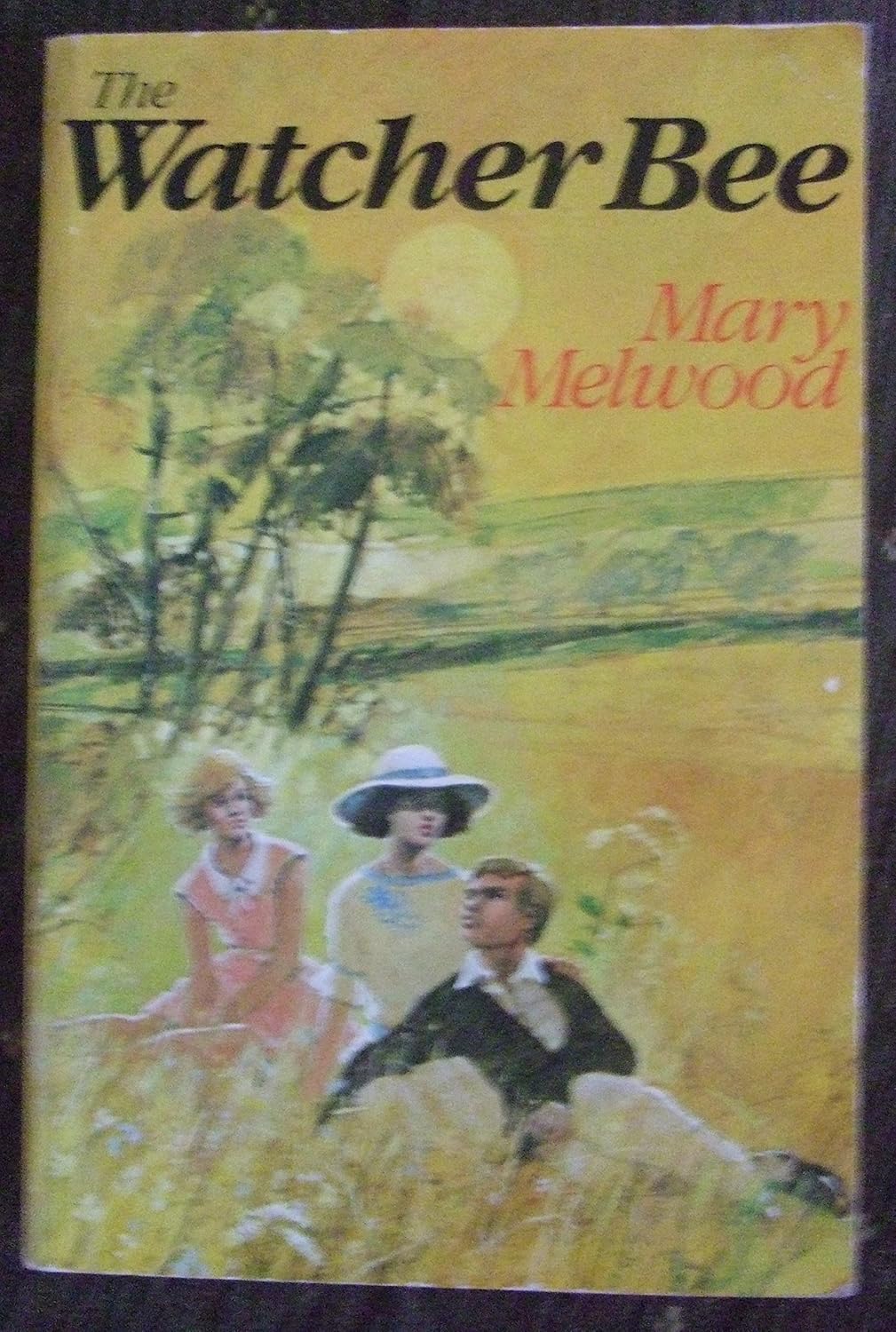 The Watcher Bee: Melwood, Mary: 9780233974323: Amazon.com: Books