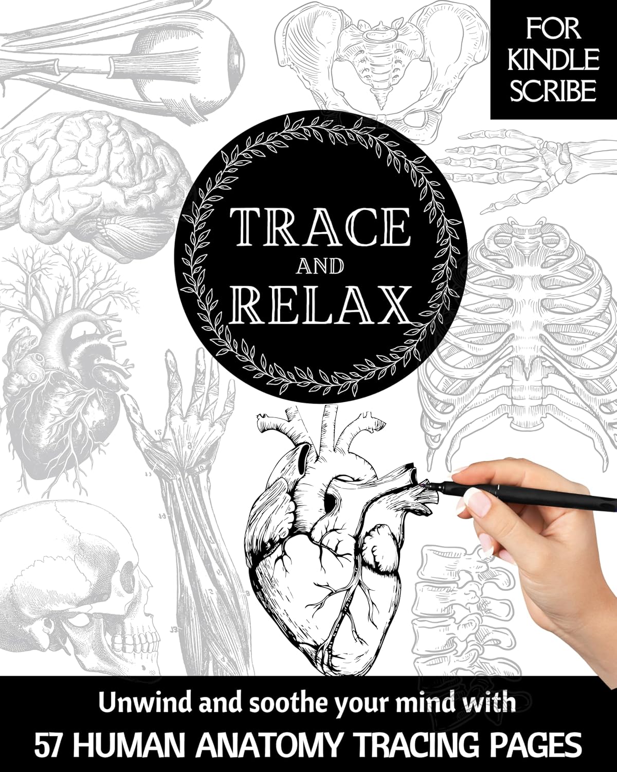TRACE & RELAX HUMAN ANATOMY TRACING PAGES FOR KINDLE SCRIBE | 57 ...