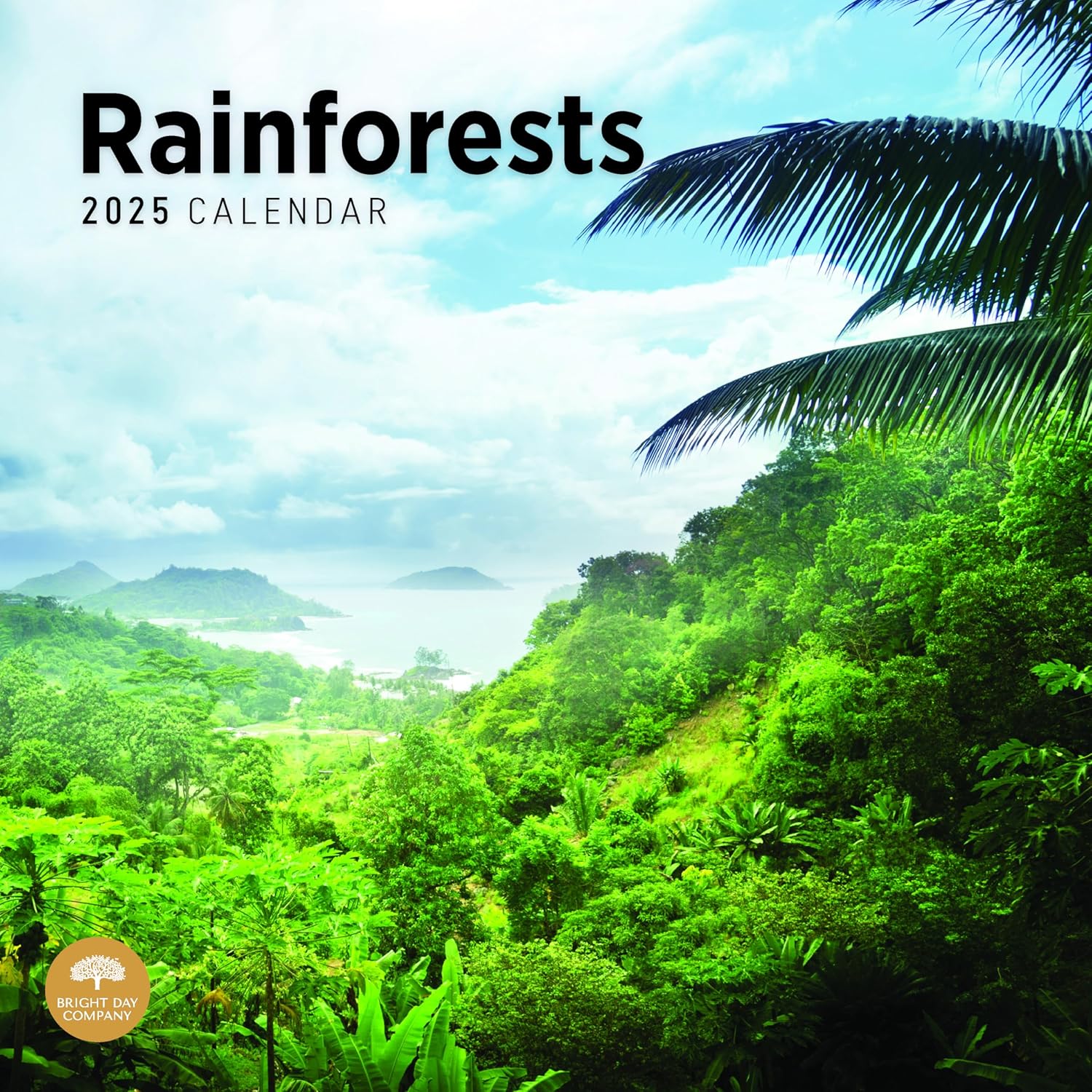 Bright Day Calendars 2025 Rainforests Monthly Wall Calendar - Beautiful ...