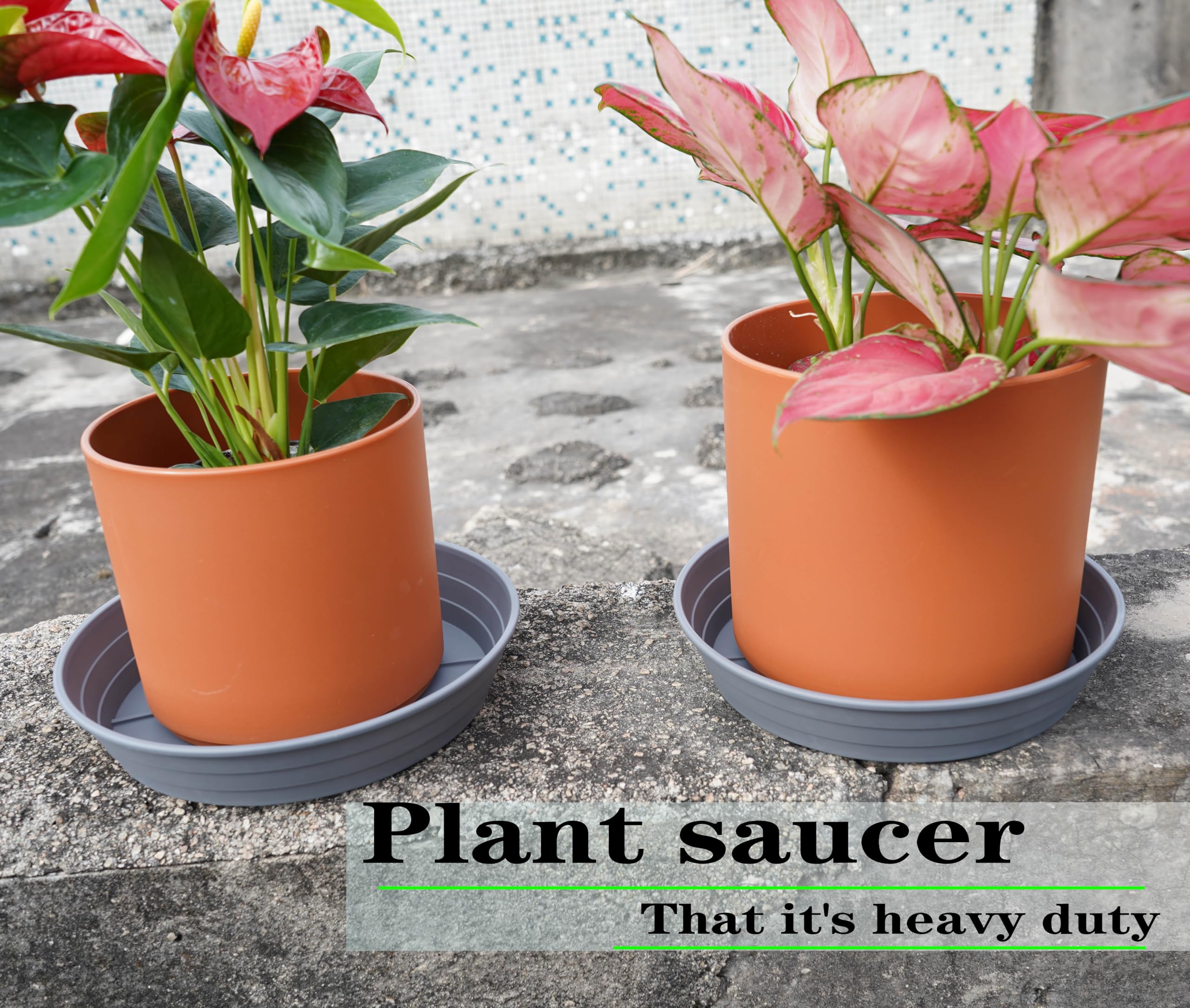 Snapklik.com : Plant Saucer 6 Inch 4 Pack 6 8 10 12 14 16 18 20 25 ...