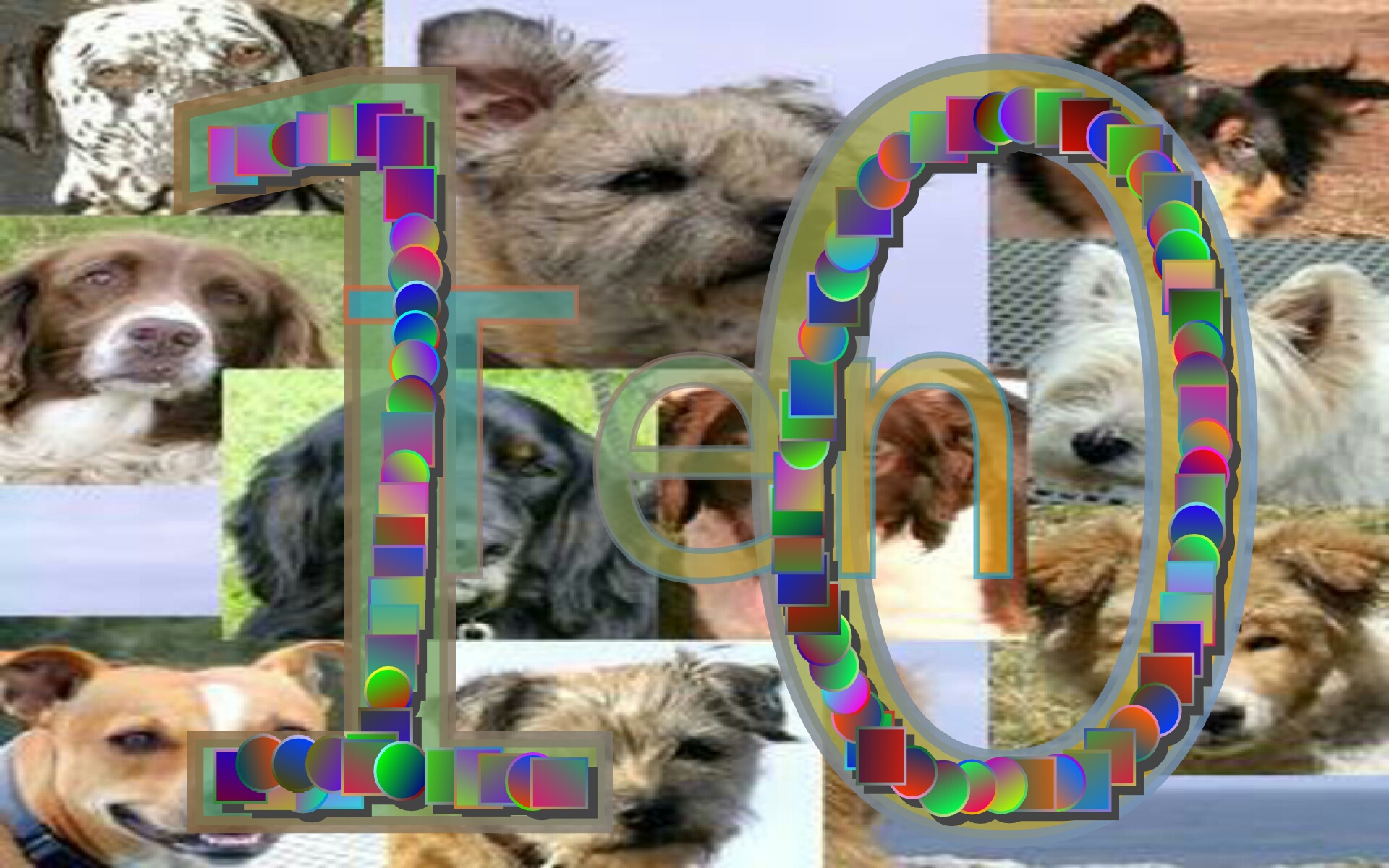 Count Dogs - App on Amazon Appstore