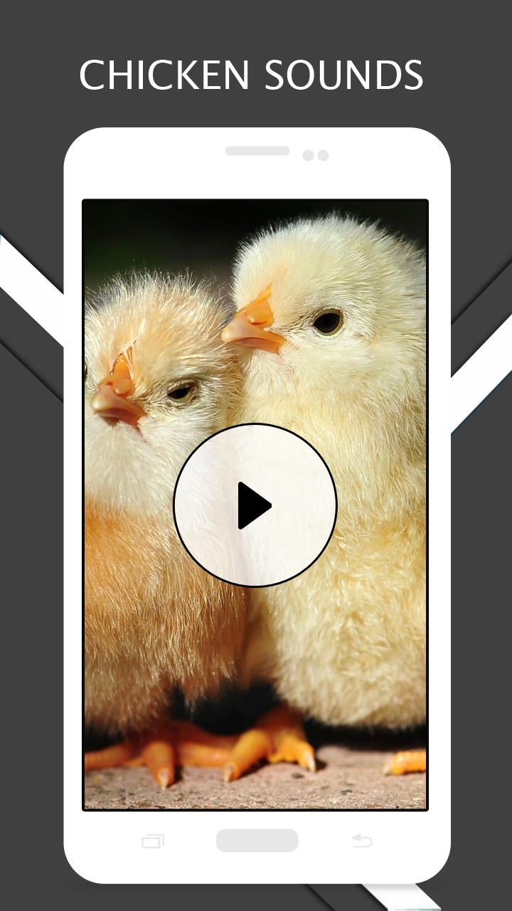Chicken Sounds And Ringtones - App on Amazon Appstore