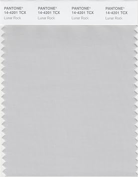 Pantone Smart Farbe Swatch Karte Lunar Rock : Amazon.de: Garten